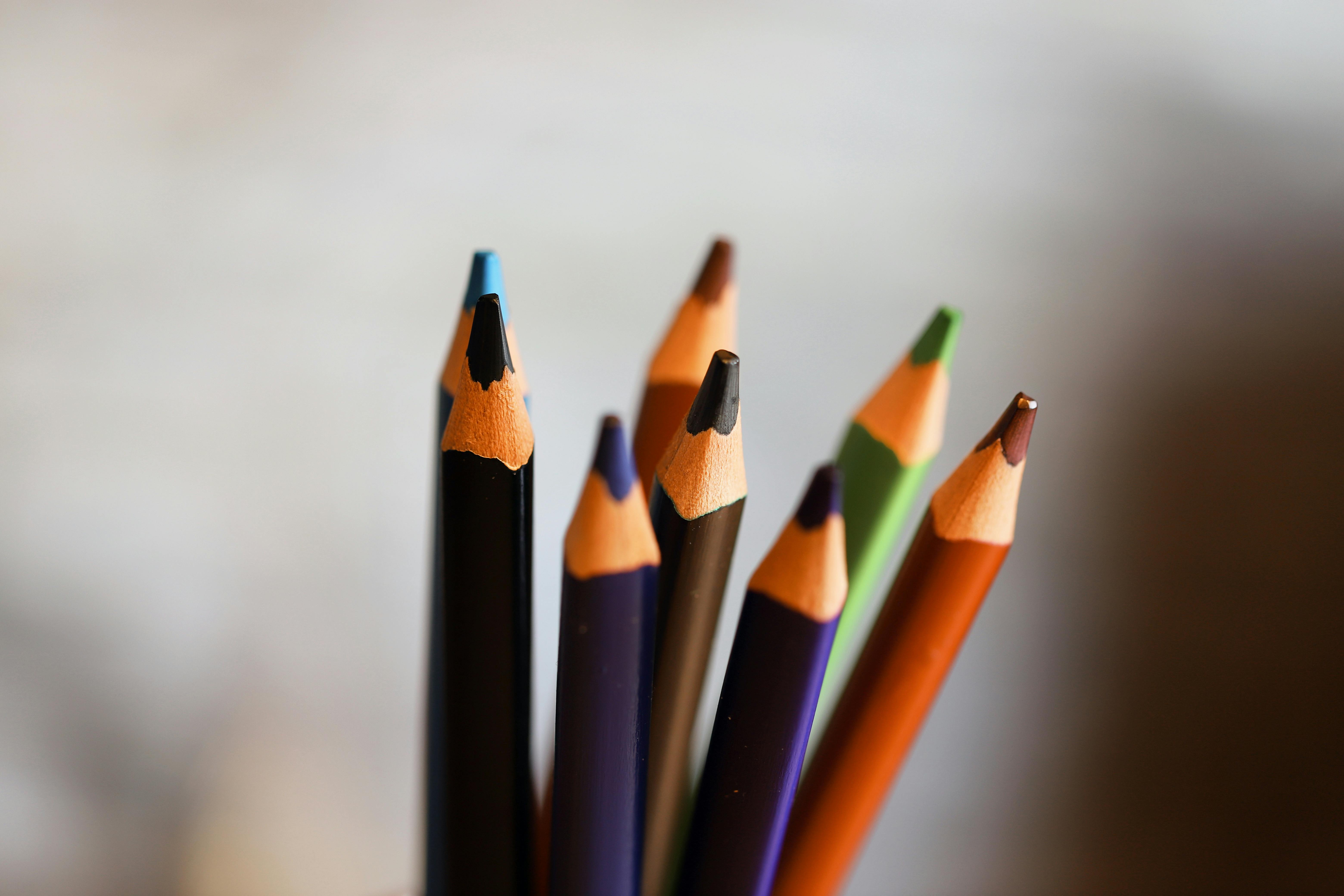 School Pta Photos, Download The BEST Free School Pta Stock Photos & HD ...