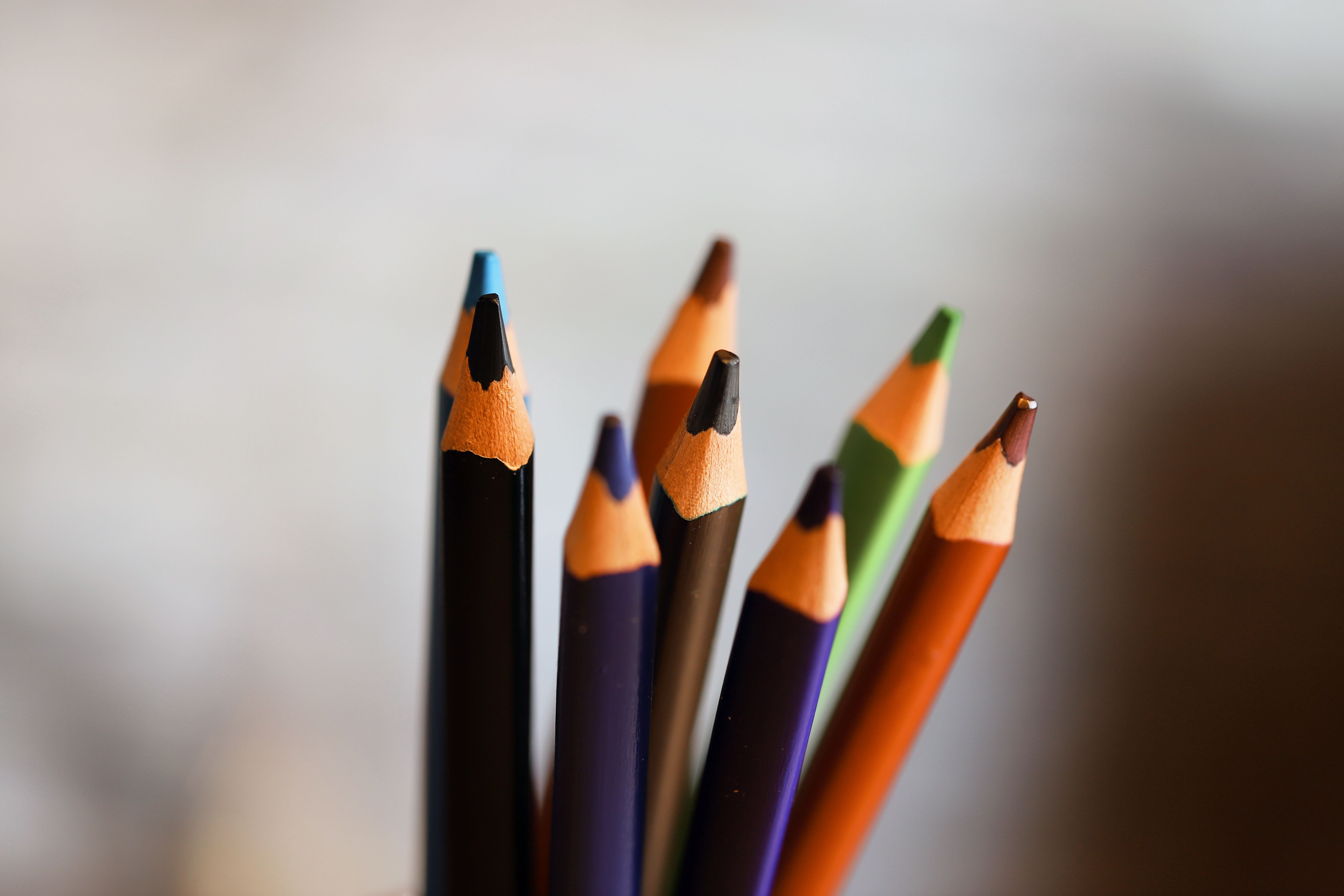 Pencil Colour Photos, Download The BEST Free Pencil Colour Stock Photos ...