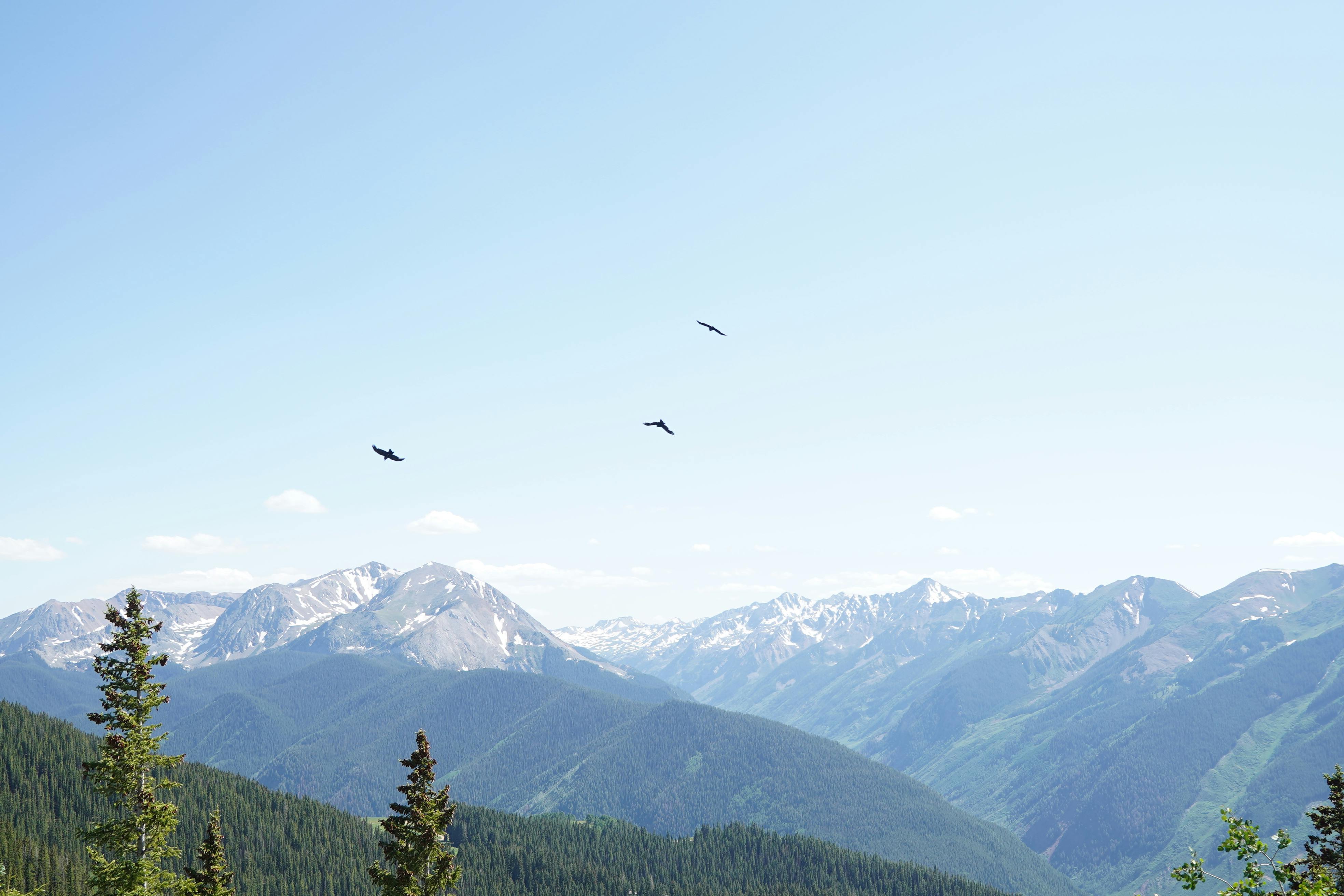 Peak+Game+Wallpaper Photos, Download The BEST Free Peak+Game+Wallpaper ...