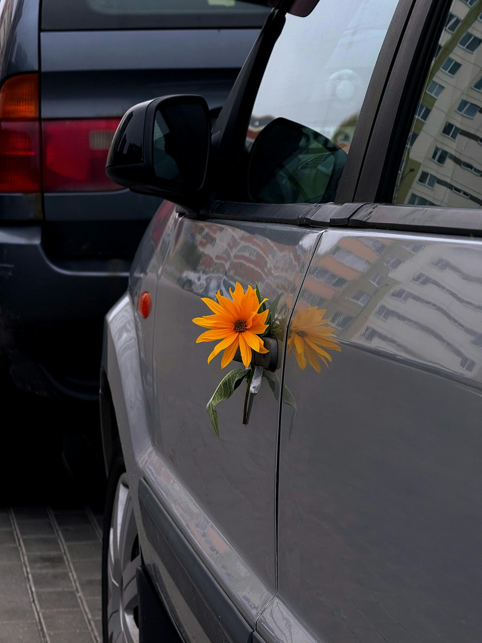 Welcome+To+Ptm+Image Photos, Download The BEST Free Welcome+To+Ptm ...