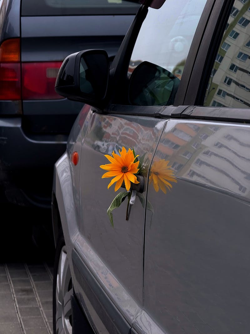 Welcome+To+Ptm+Image Photos, Download The BEST Free Welcome+To+Ptm ...