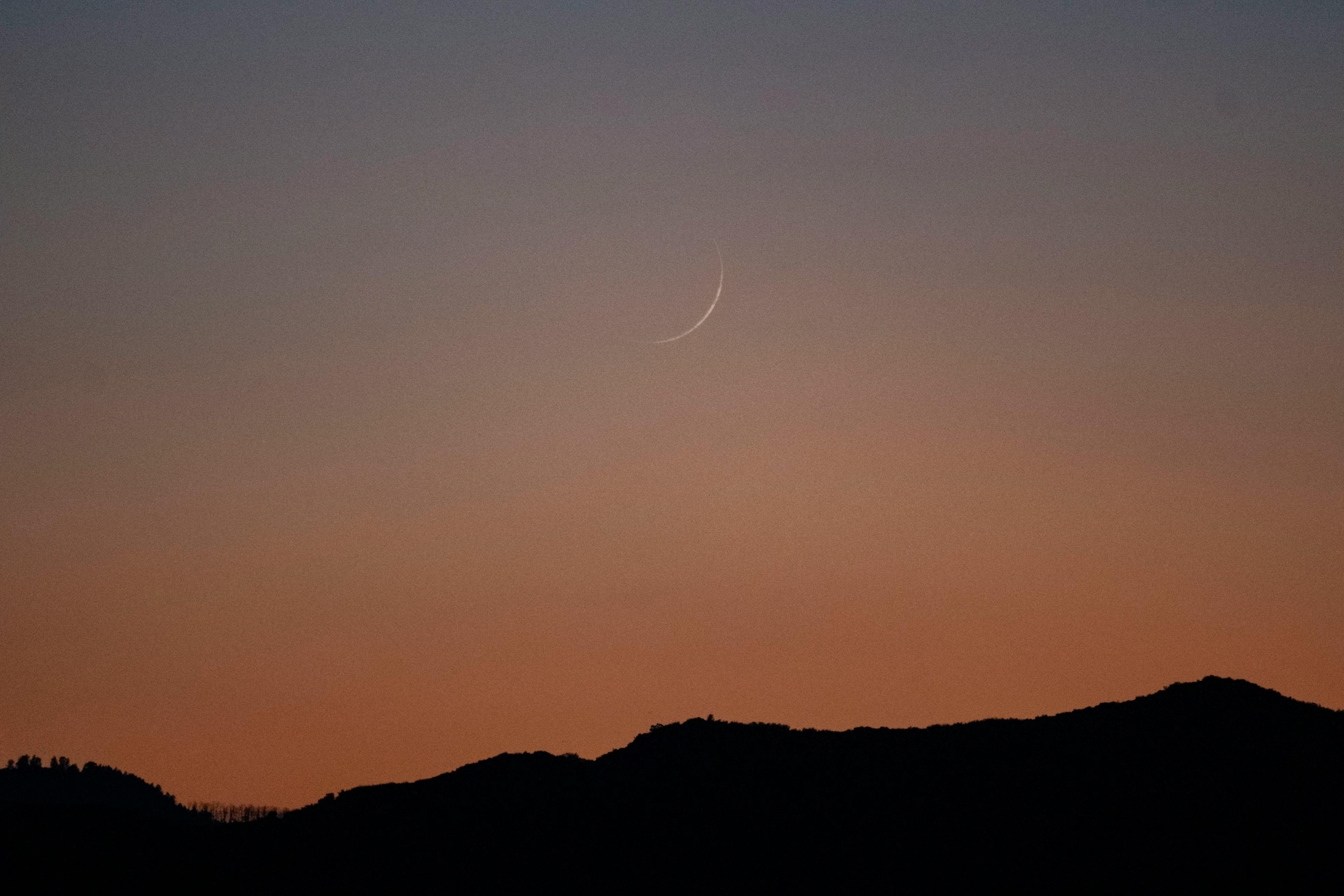 African+Manor+Hotel+Logos+Images Photos, Download The BEST Free African ...