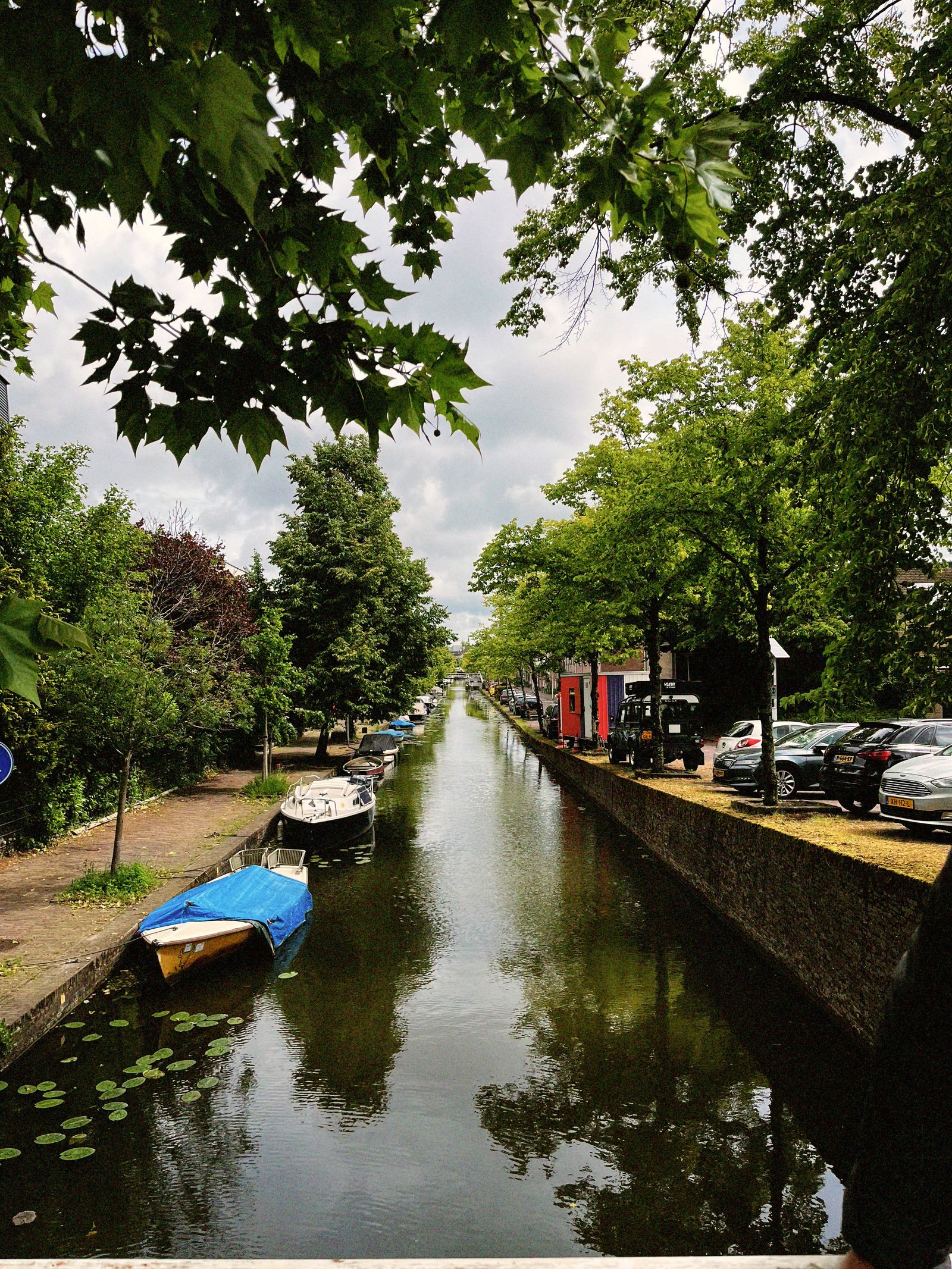 Luxy+Dutch+Hot Photos, Download The BEST Free Luxy+Dutch+Hot Stock ...