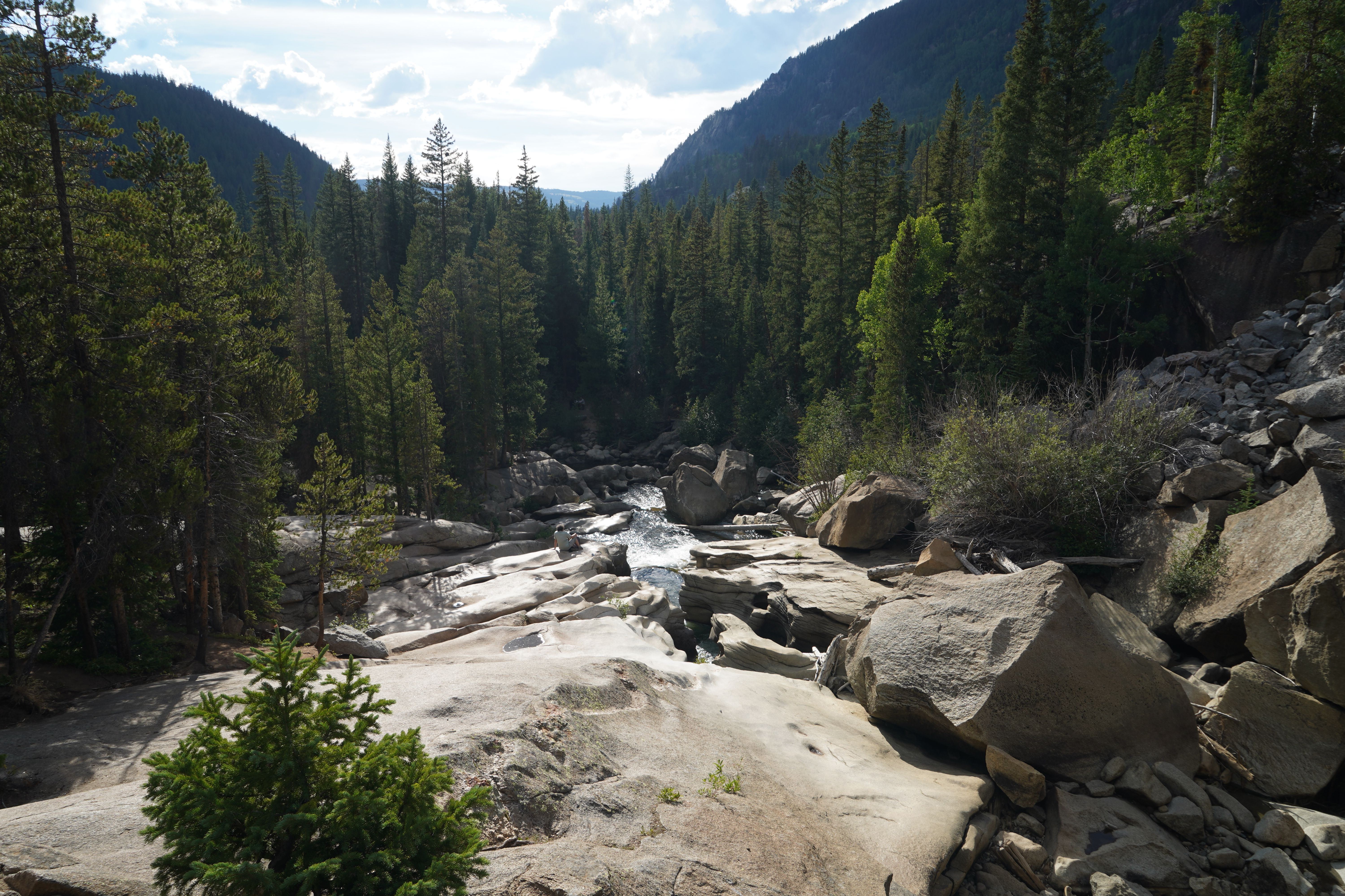 Forest Landscape Photos, Download The BEST Free Forest Landscape Stock ...