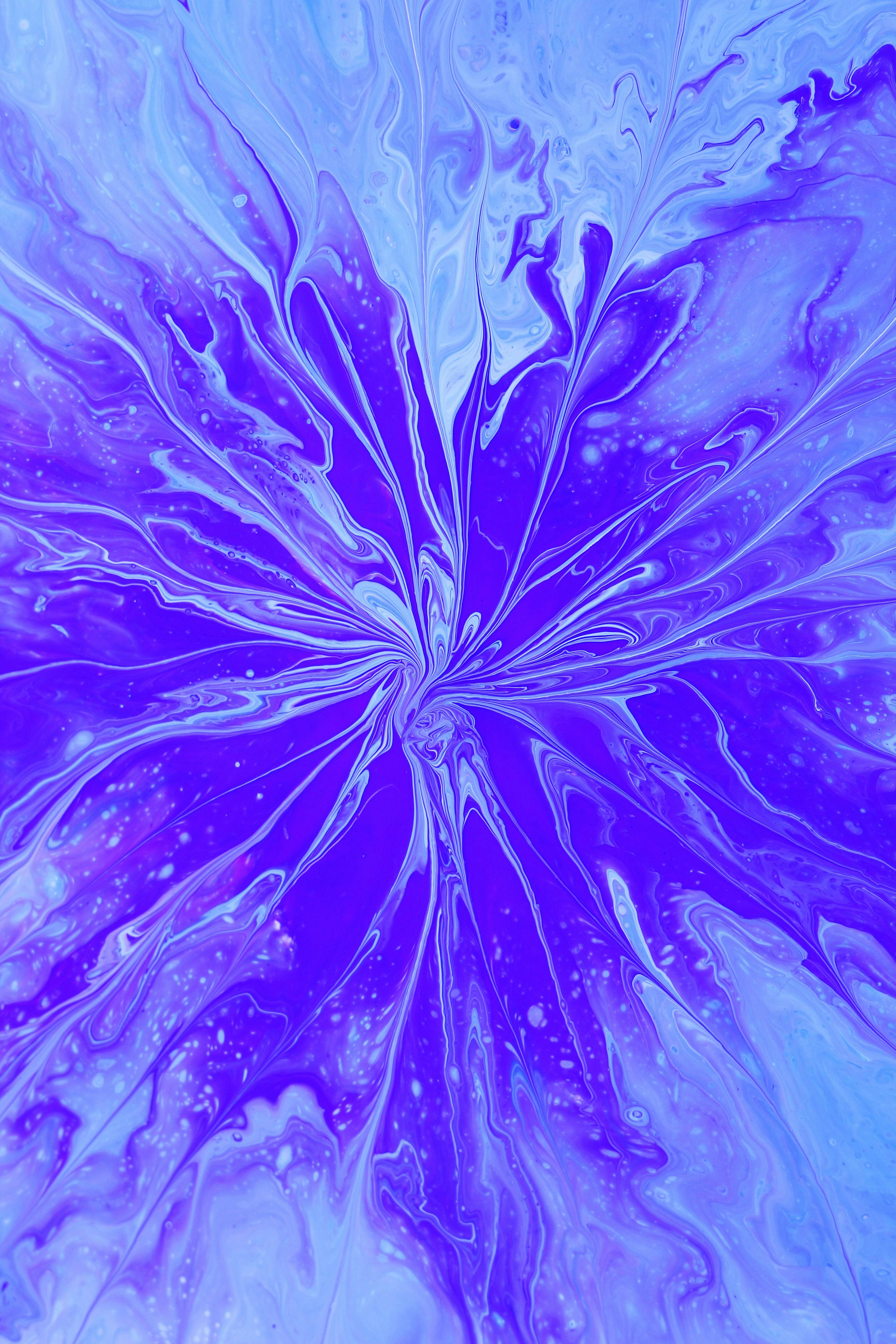 900.000+ Blau Hintergrund Bilder und Fotos · Kostenlos Downloaden · Pexels Stock-Fotos