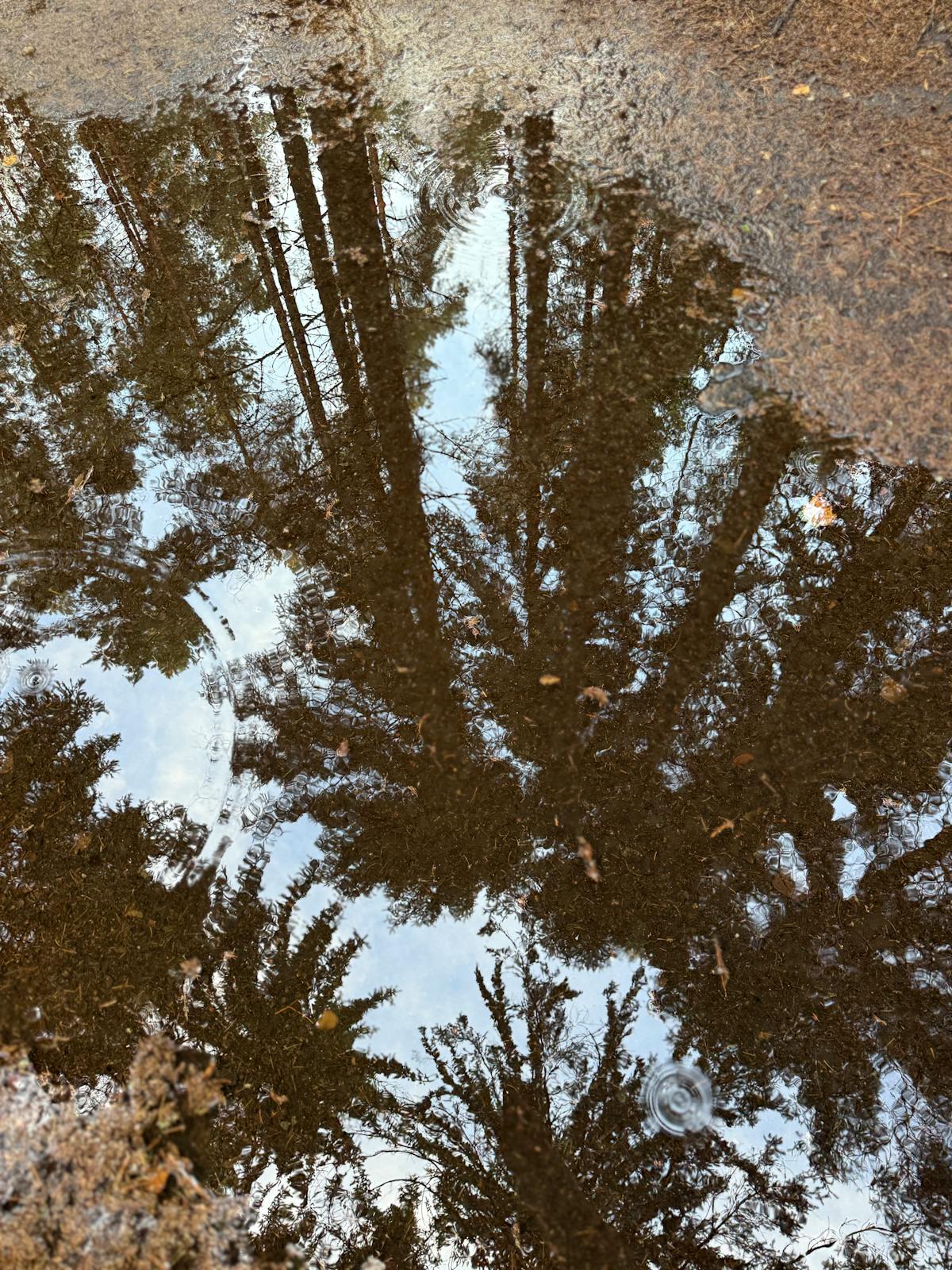 Welcome+To+Ptm+Image Photos, Download The BEST Free Welcome+To+Ptm ...