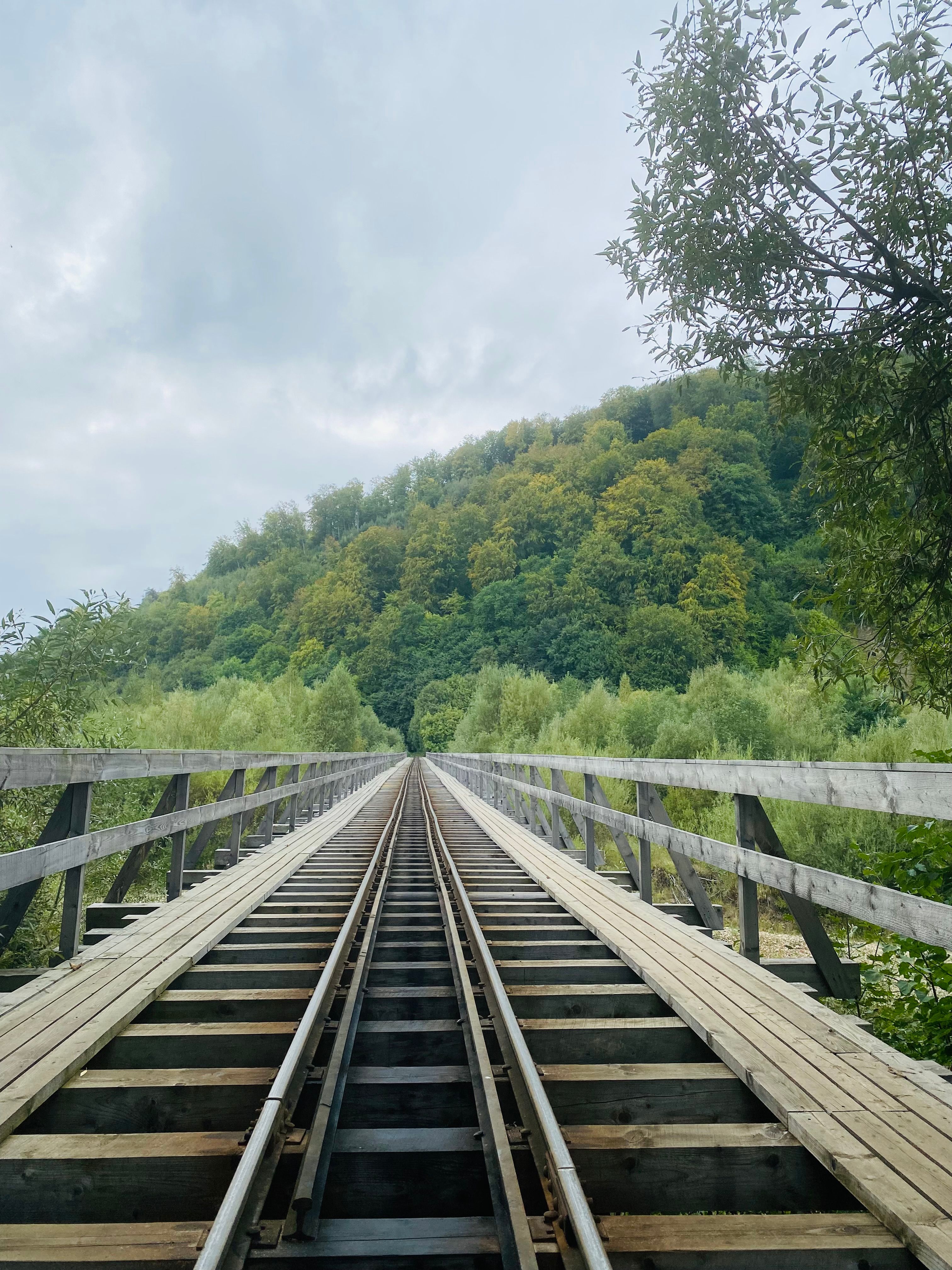 Scenic Railroad Track through Lush Forested Hillside · Free Stock Photo