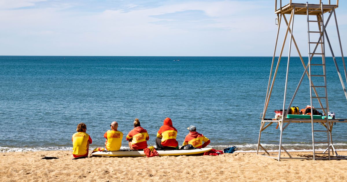 Lifeguard Photos, Download The BEST Free Lifeguard Stock Photos & HD Images