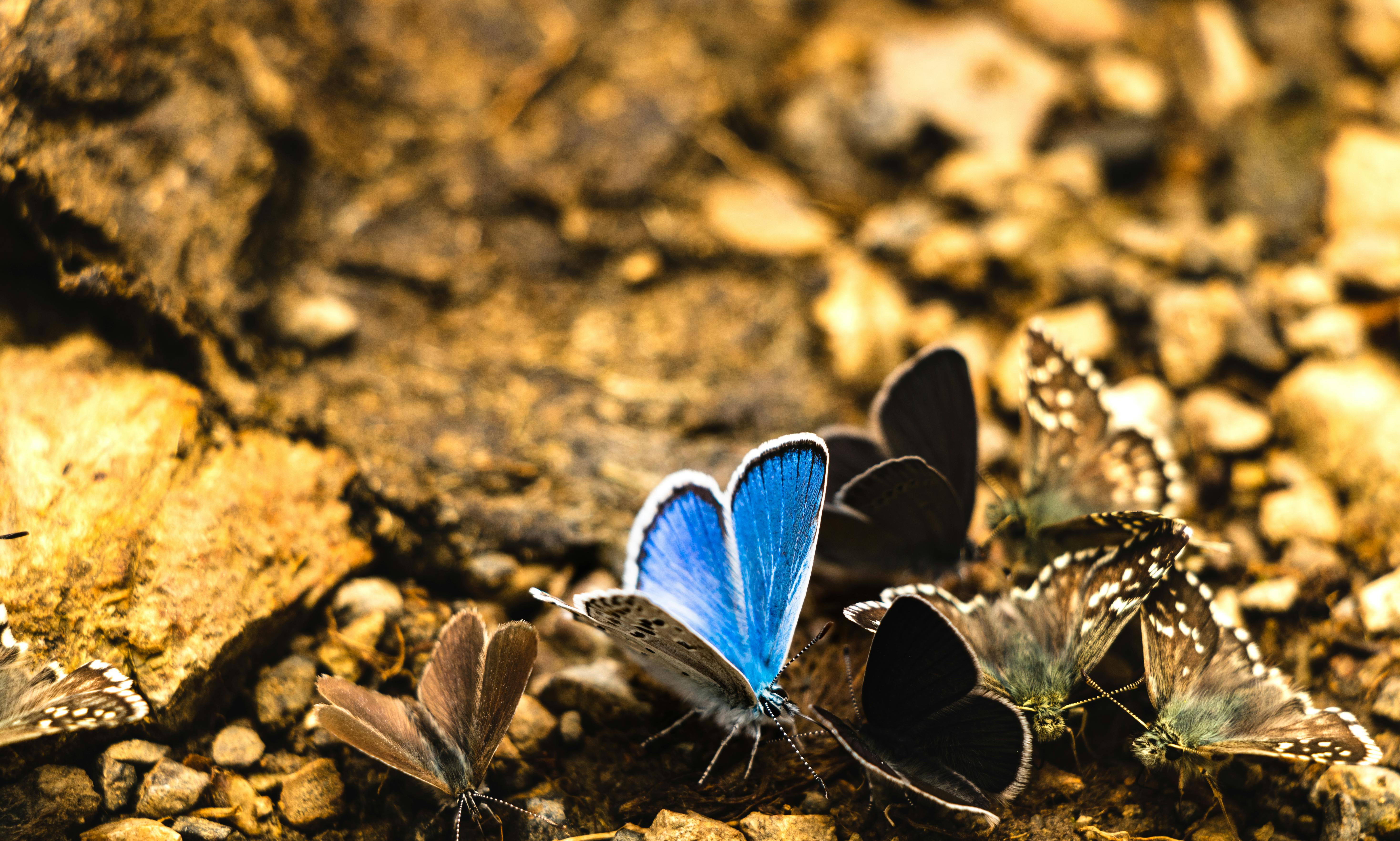 Digitale Transformation Photos, Download The BEST Free Digitale ...