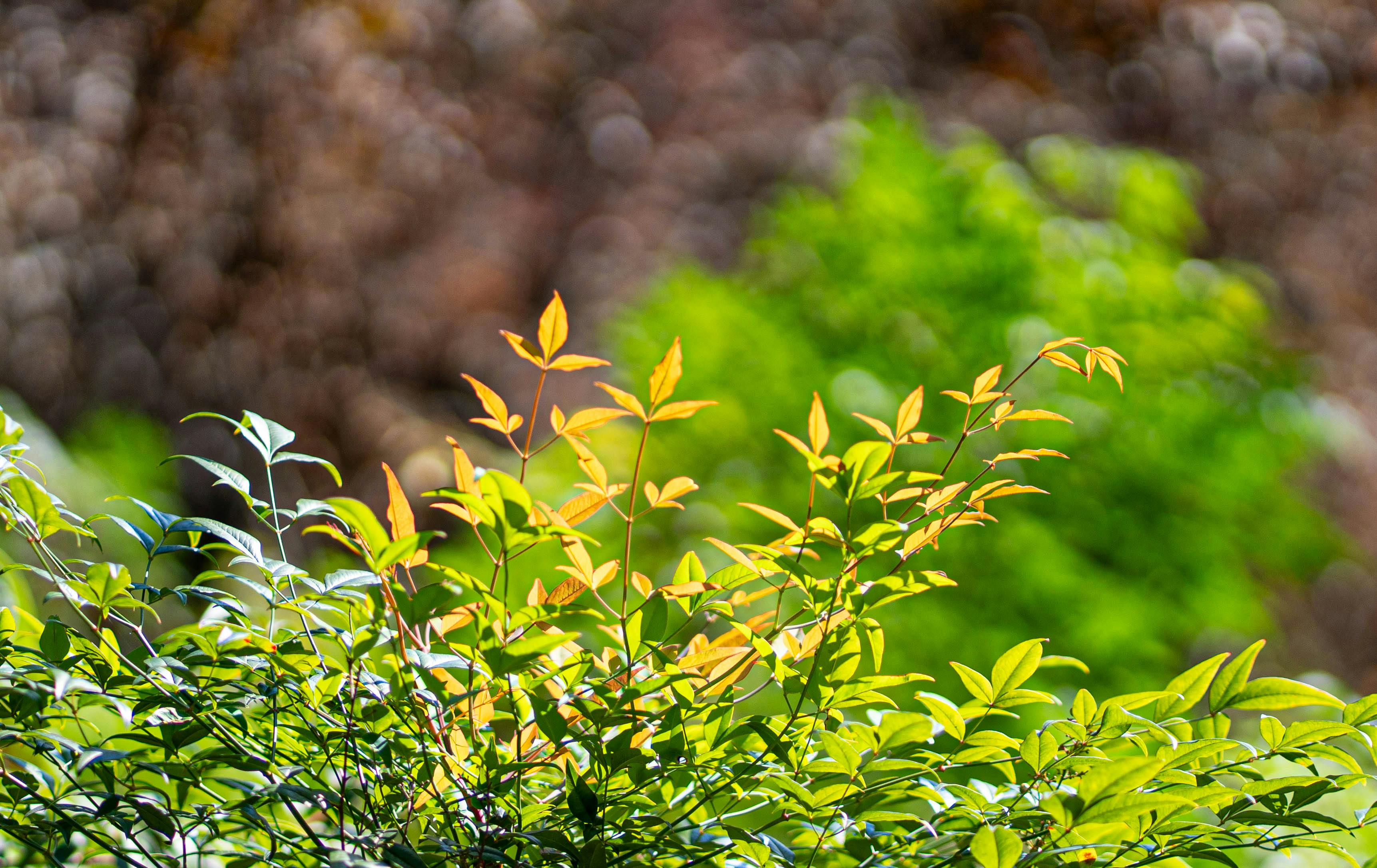 Background Without Blur Photos, Download The BEST Free Background ...