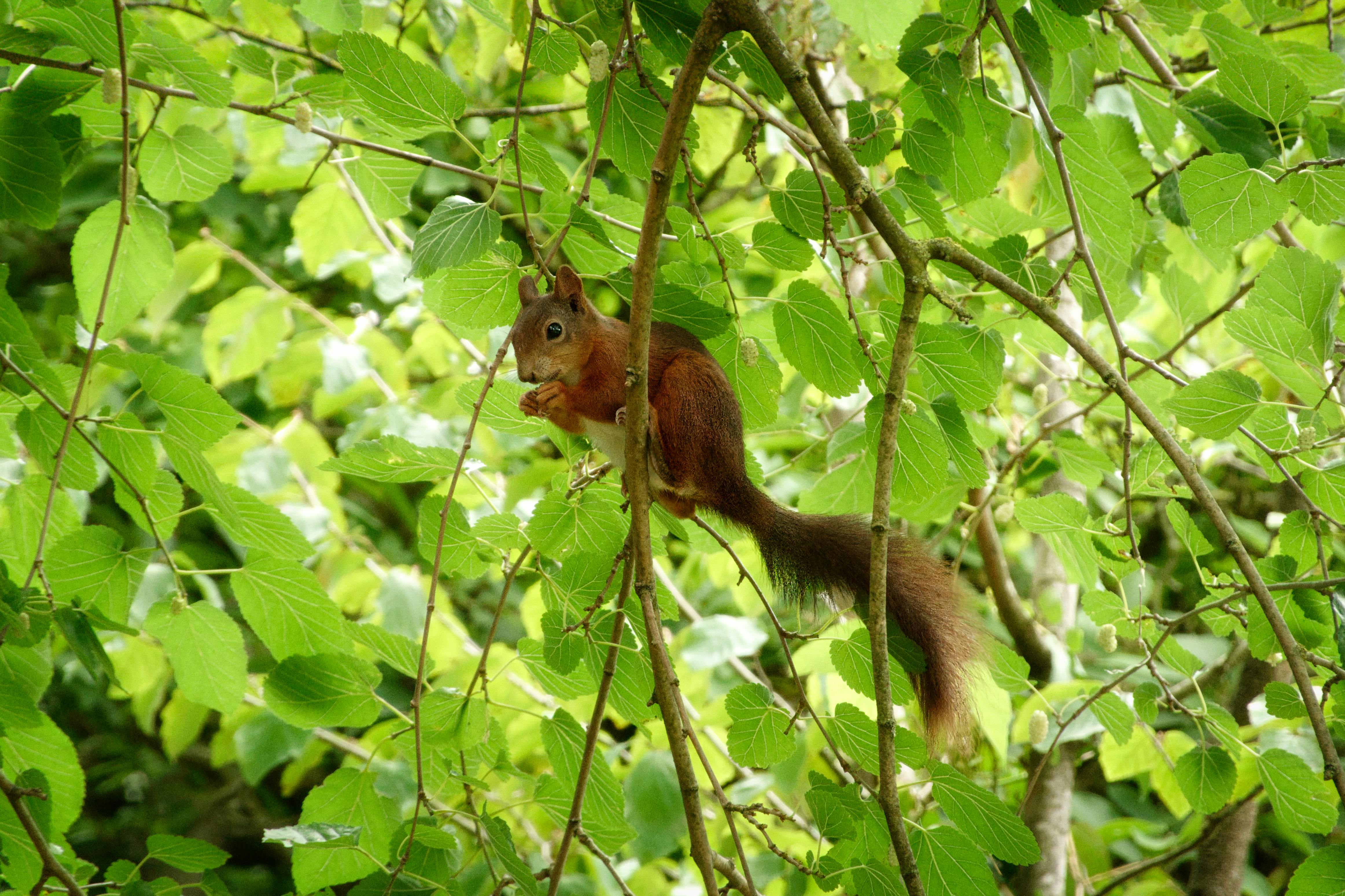 Cute+Emo+Boys Photos, Download The BEST Free Cute+Emo+Boys Stock Photos ...