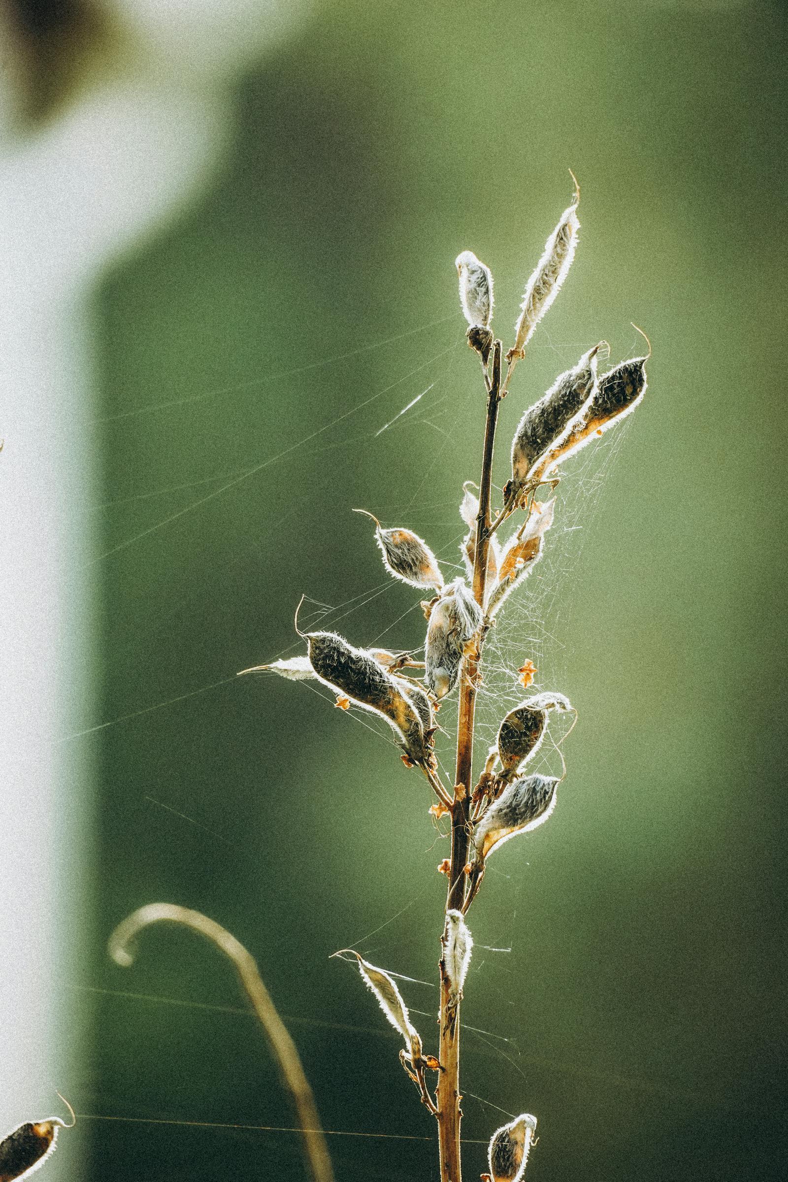 Free+Printable+Backgrounds Photos, Download The BEST Free Free ...