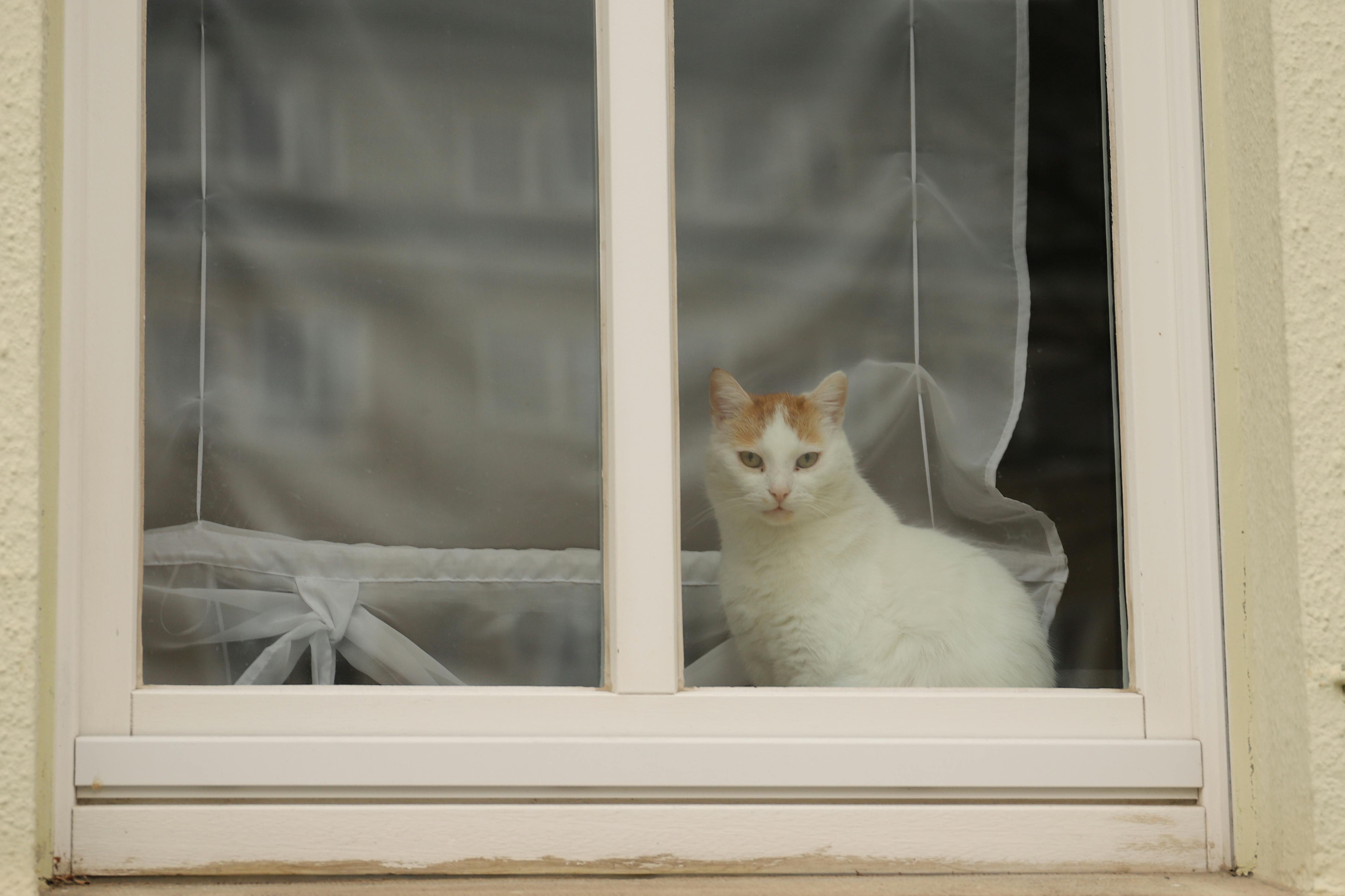 Pent House Photos, Download The BEST Free Pent House Stock Photos & HD ...