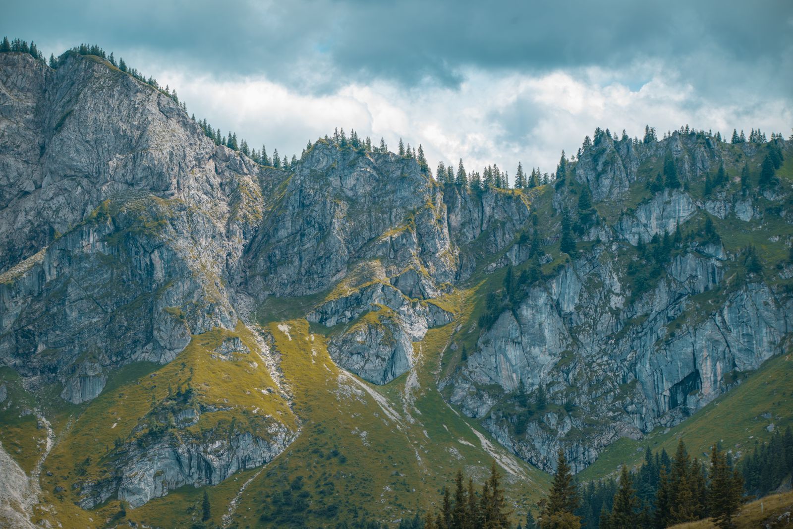 Panoramic View Photos, Download The BEST Free Panoramic View Stock ...