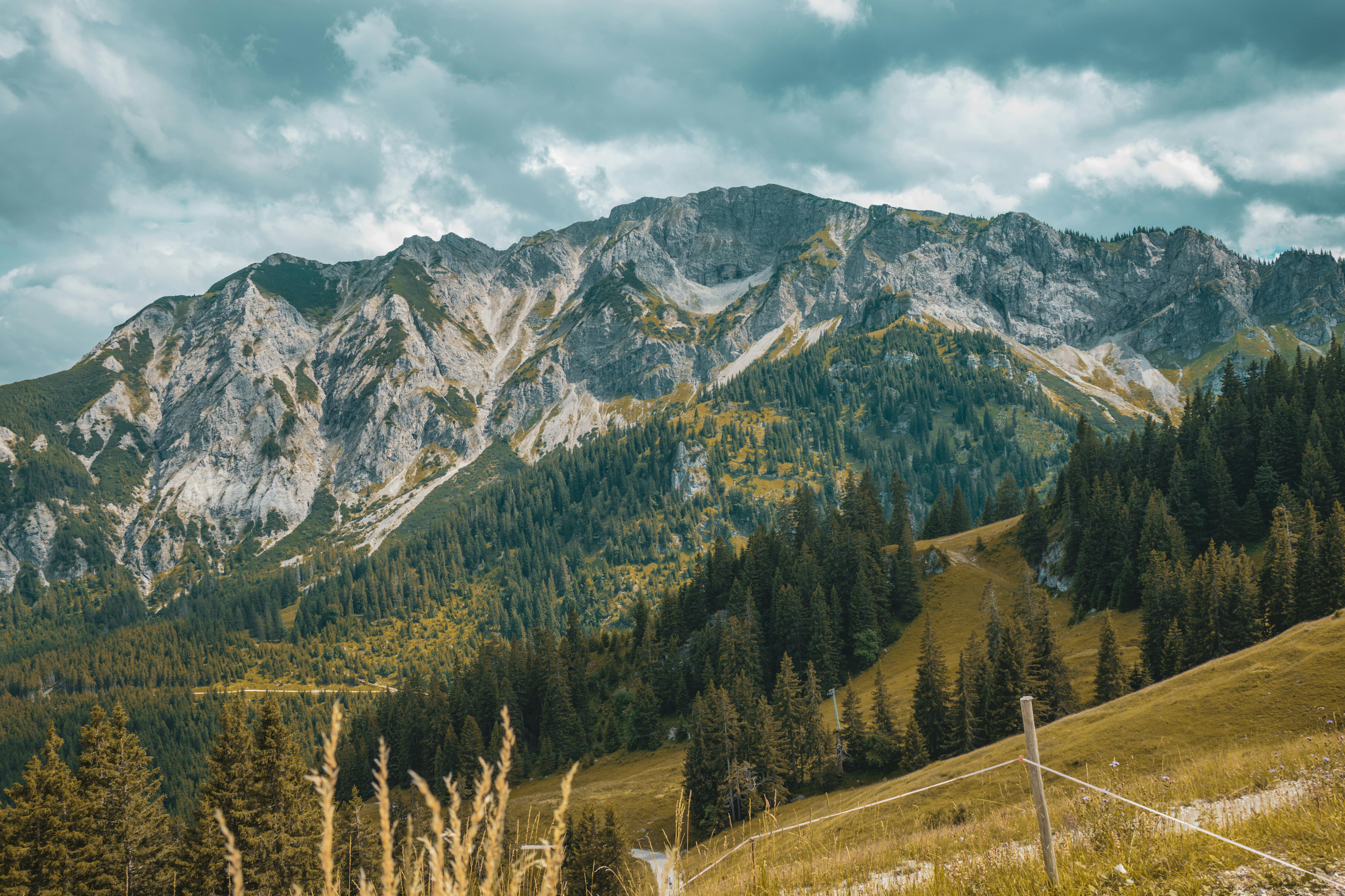 Brittany+Snow+Bikini Photos, Download The BEST Free Brittany+Snow ...