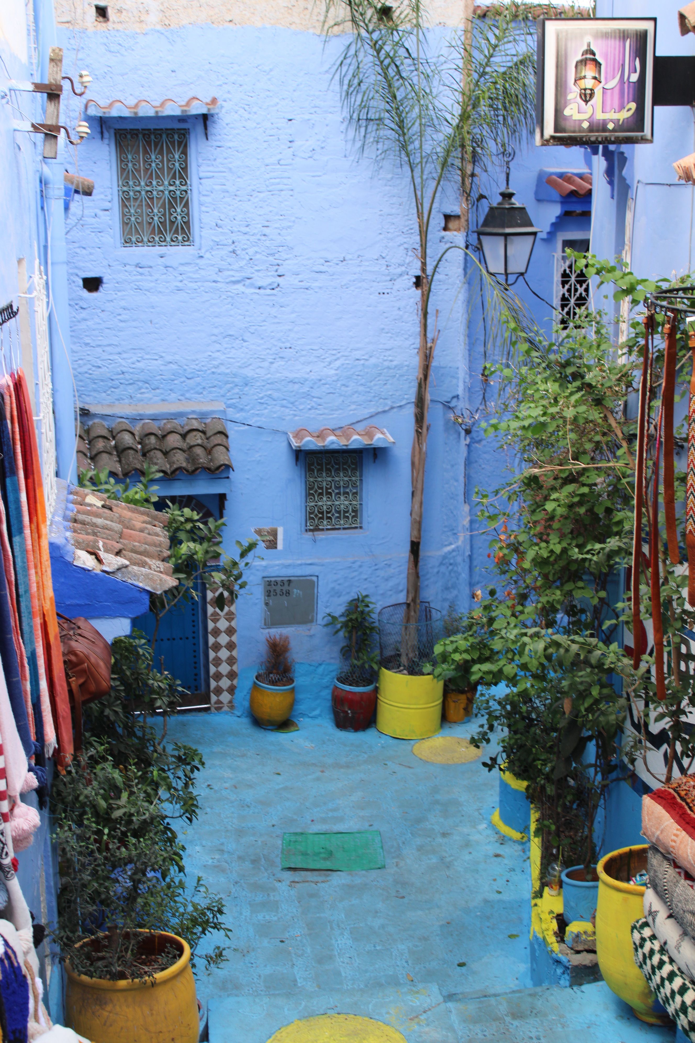 Colorful Blue Alleyway in Chefchaouen, Morocco · Free Stock Photo