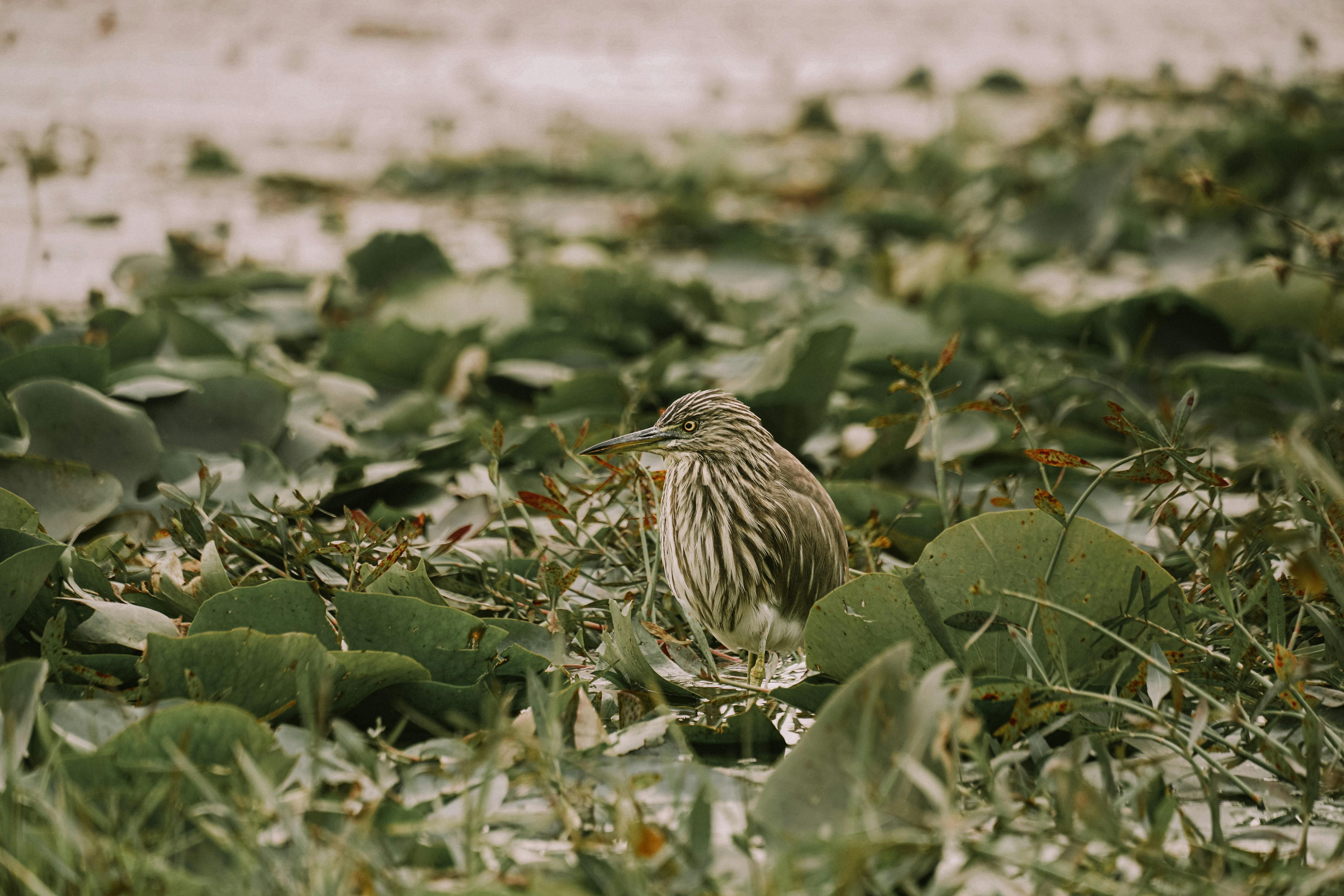 Sus+Anime+Girl+Body Photos, Download The BEST Free Sus+Anime+Girl+Body ...