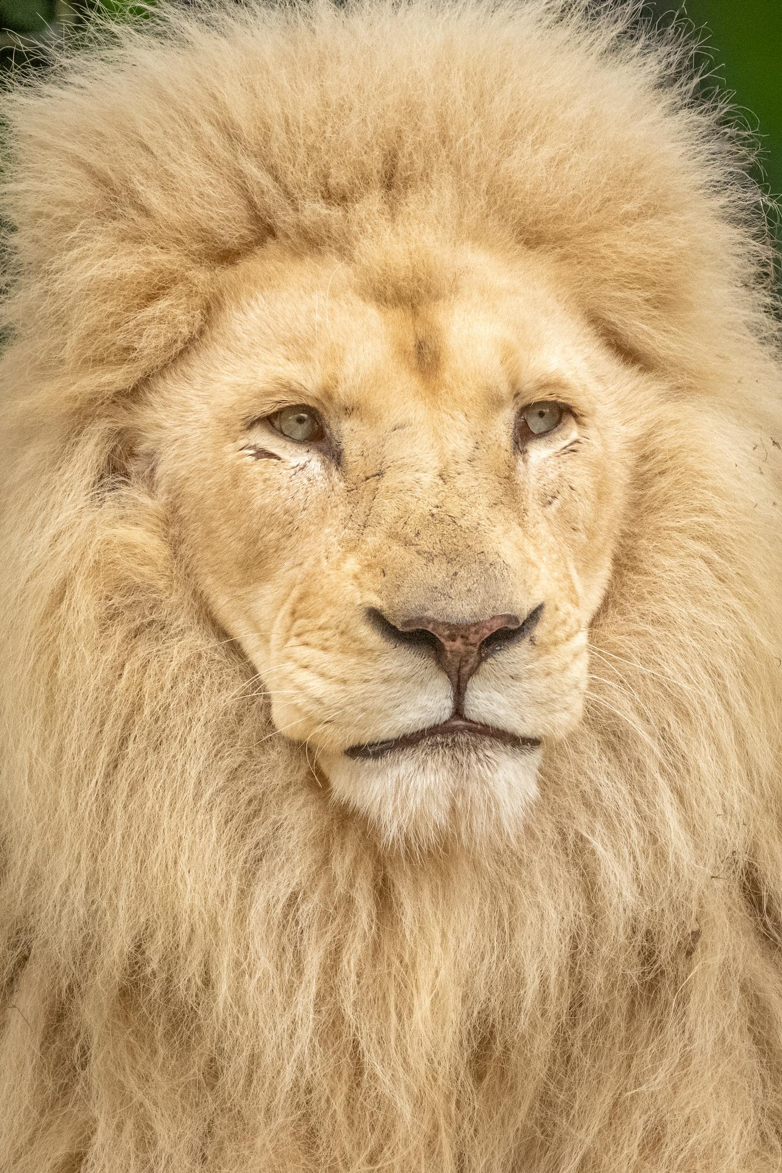 Nisarg+Chitra+Photo Photos, Download The BEST Free Nisarg+Chitra+Photo ...