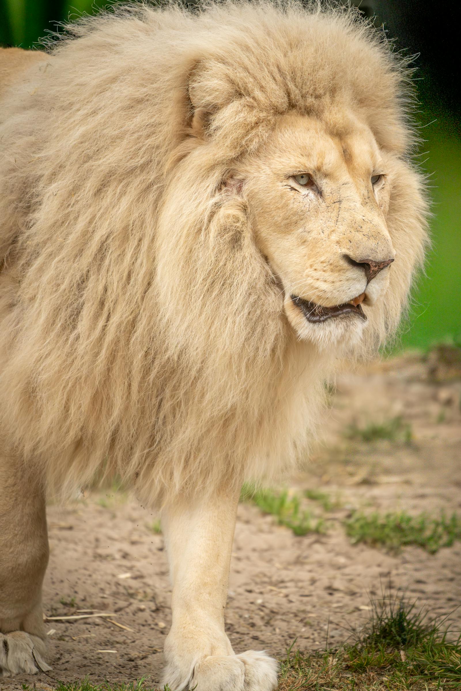 Nature High Resolution Photos, Download The BEST Free Nature High ...