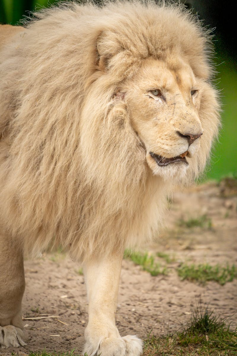 Nature High Resolution Photos, Download The BEST Free Nature High ...