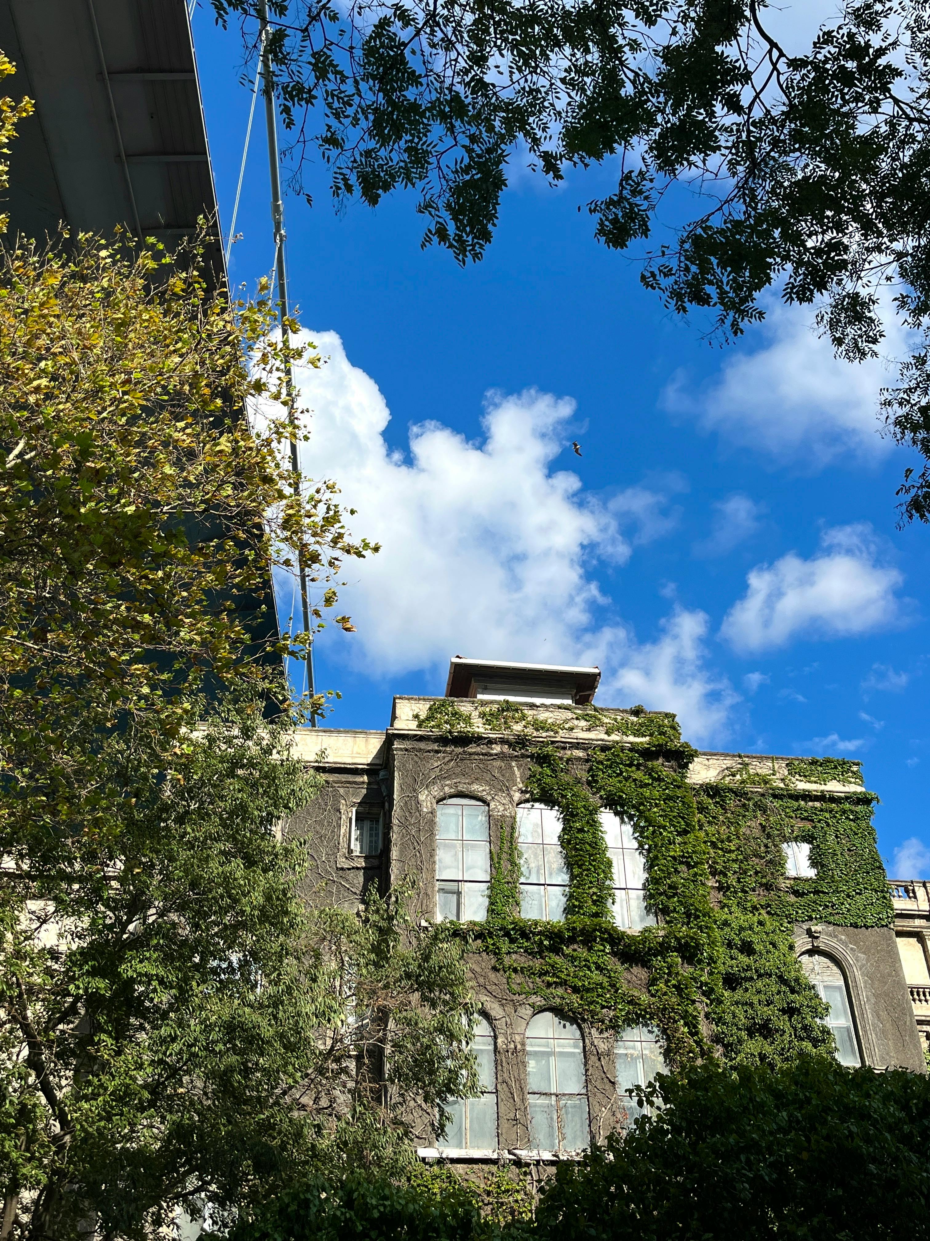 Nostalgic Photos, Download The BEST Free Nostalgic Stock Photos & HD Images