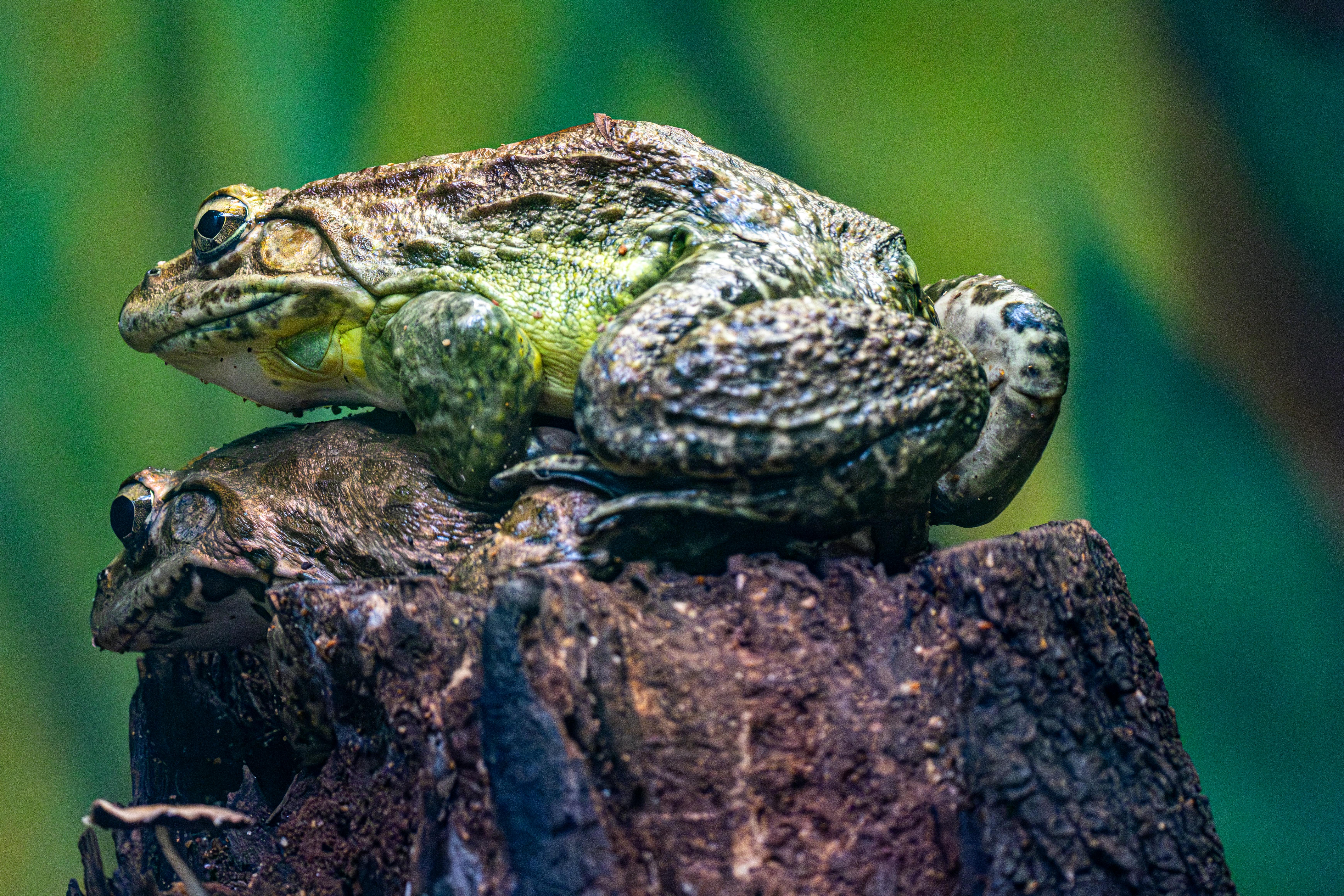 High Contrast Photos, Download The BEST Free High Contrast Stock Photos ...