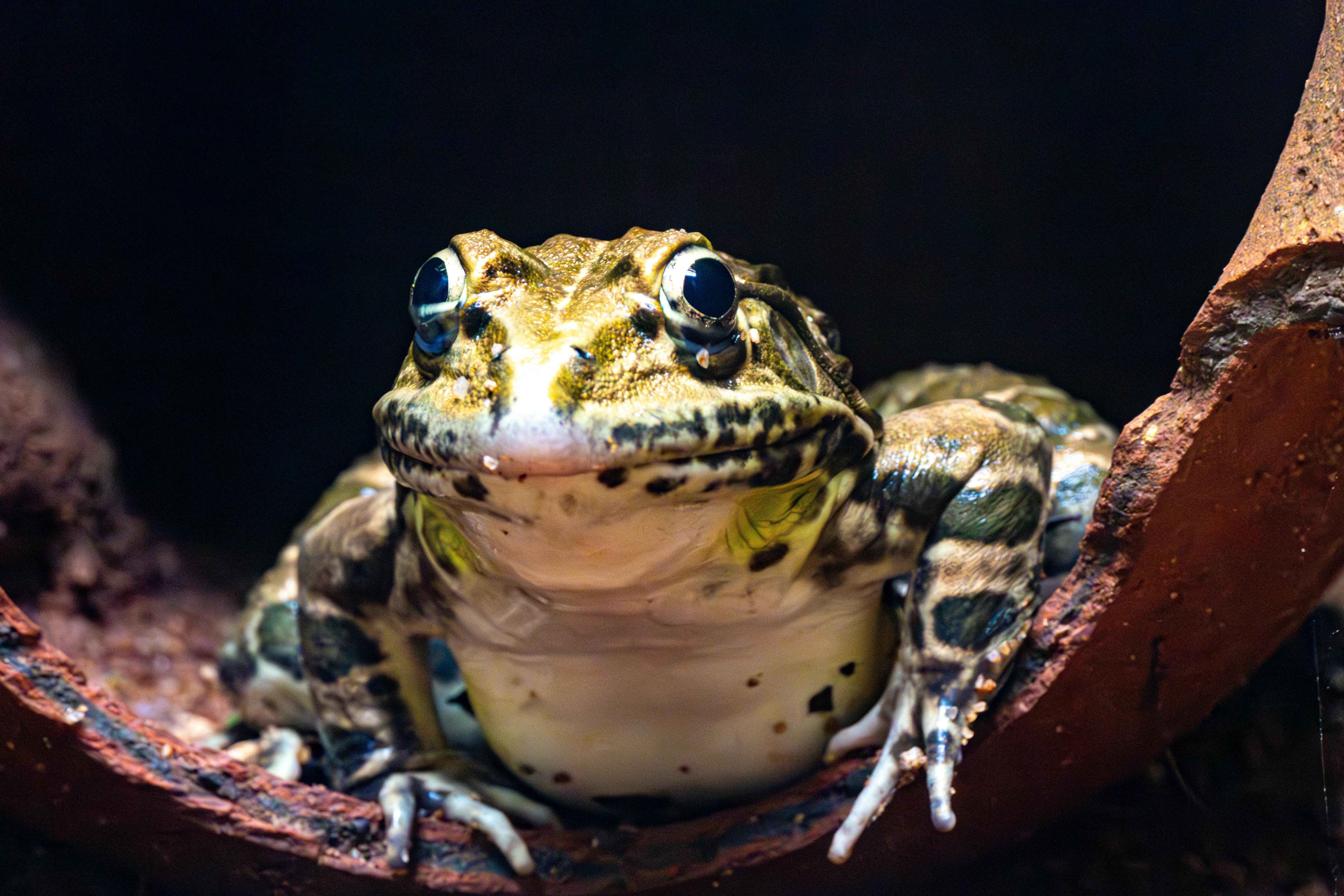 Behavior Photos, Download The BEST Free Behavior Stock Photos & HD Images