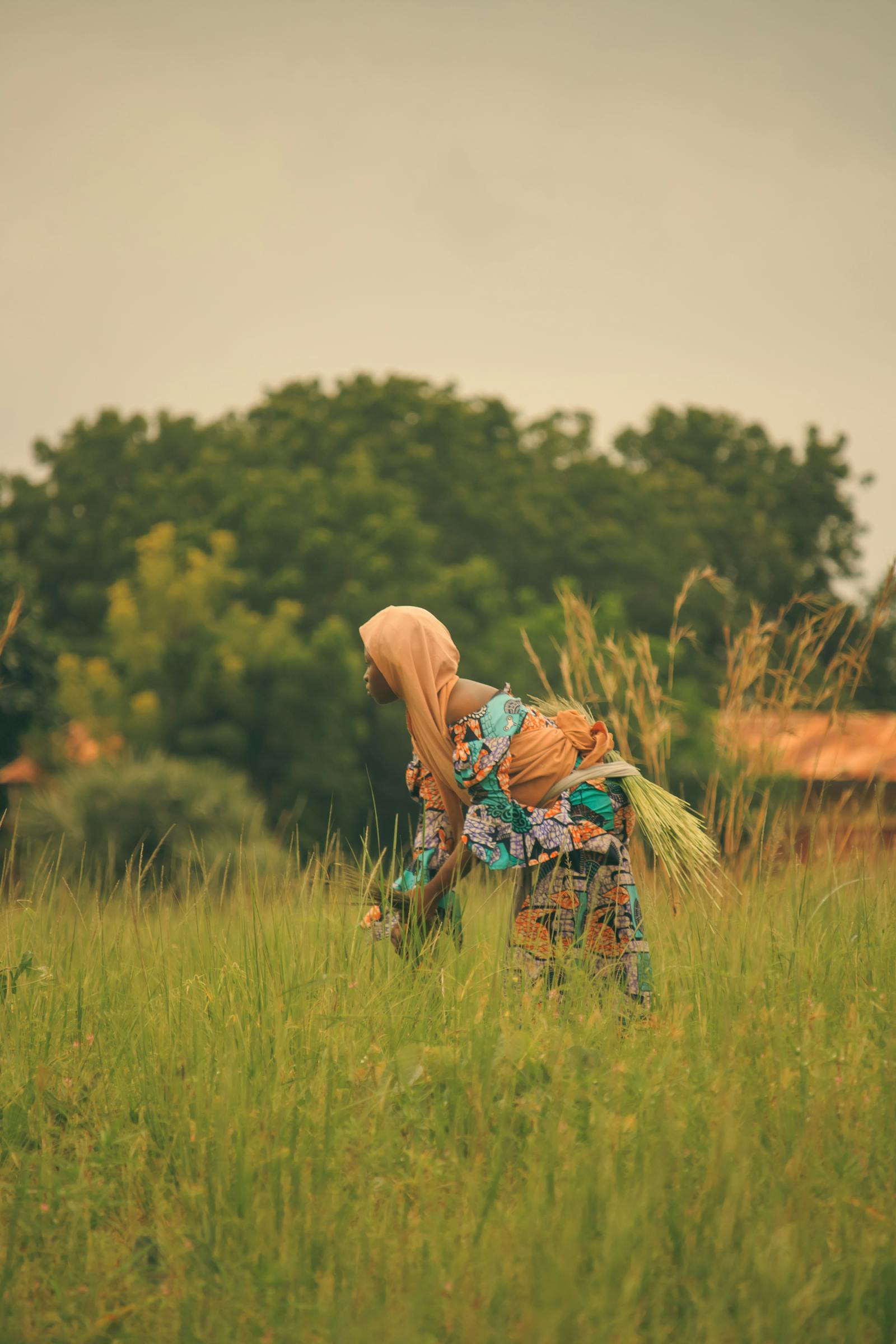 Human Figure Photos, Download The BEST Free Human Figure Stock Photos ...