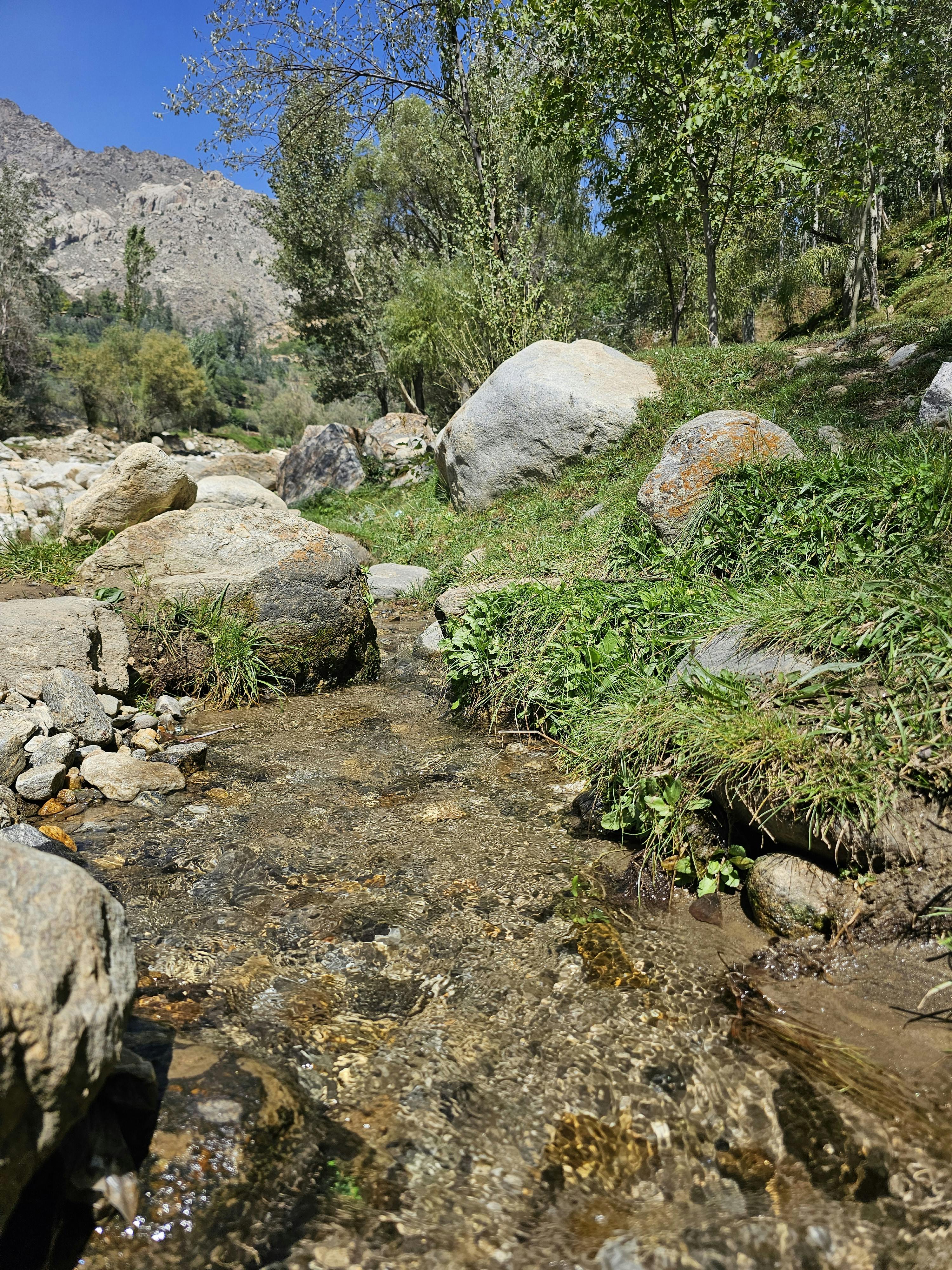 Clean Environment Photos, Download The BEST Free Clean Environment ...