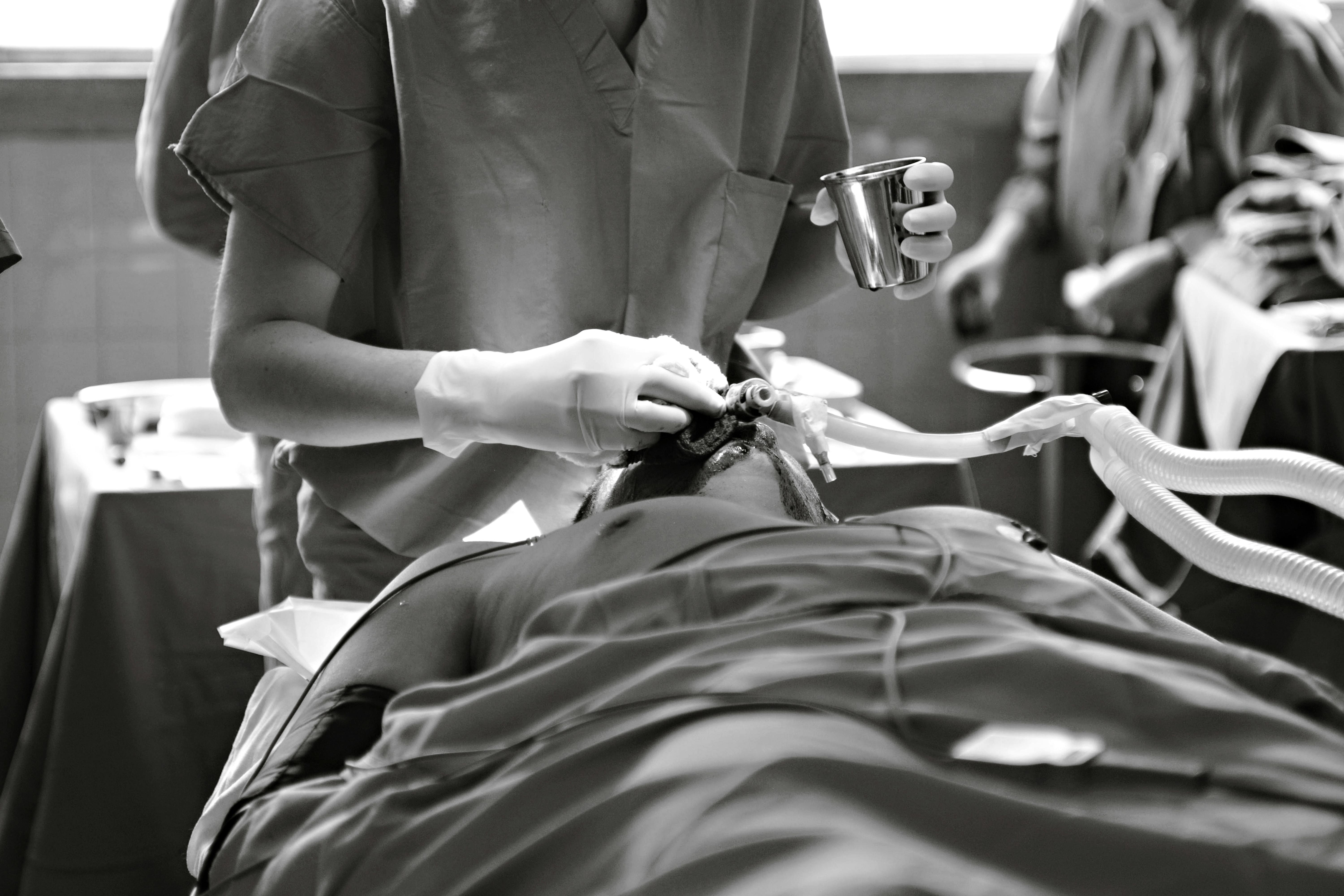 Iv Photos, Download The BEST Free Iv Stock Photos & HD Images