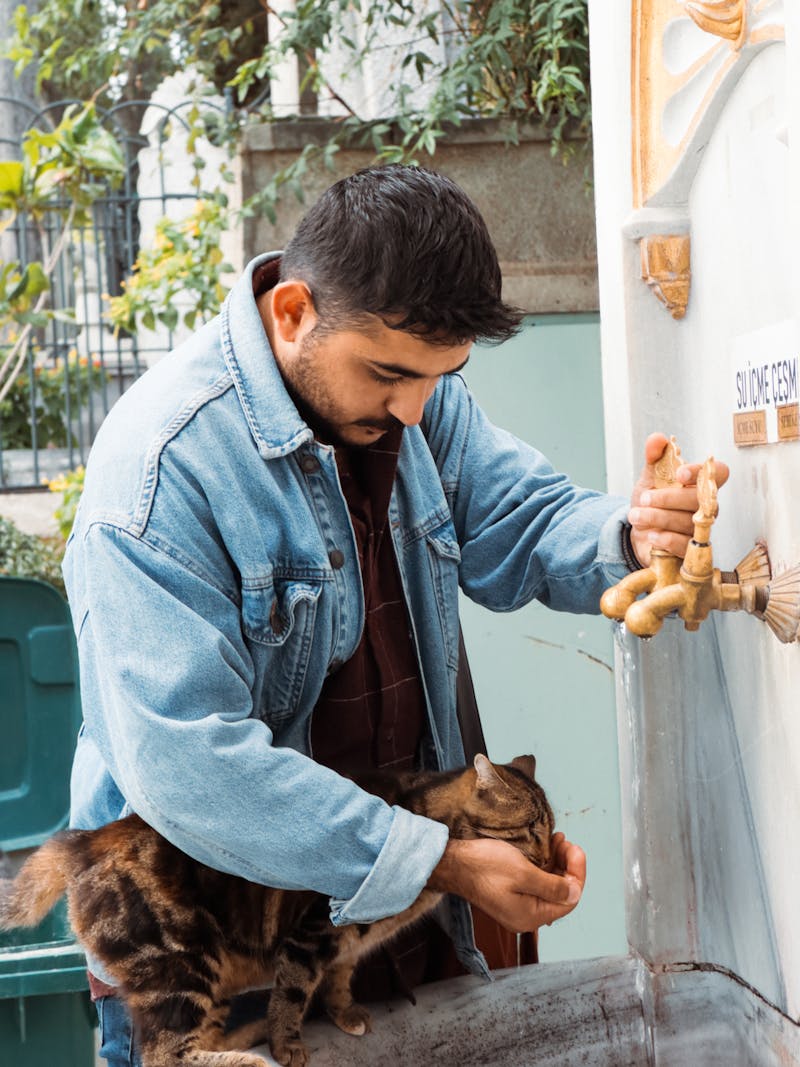 Goofy Cat Photos, Download The BEST Free Goofy Cat Stock Photos & HD Images