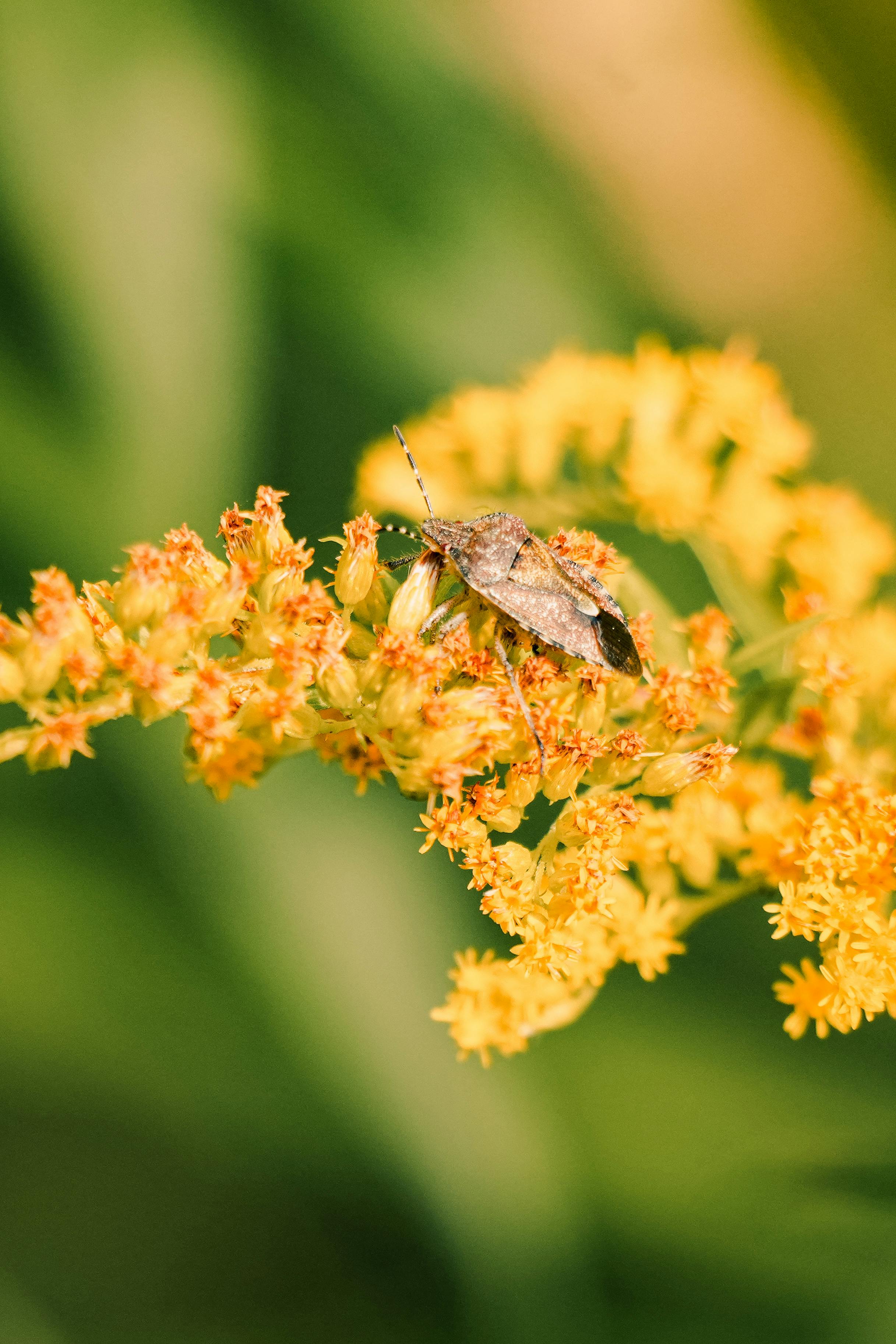 Spring. Photos, Download The BEST Free Spring. Stock Photos & HD Images