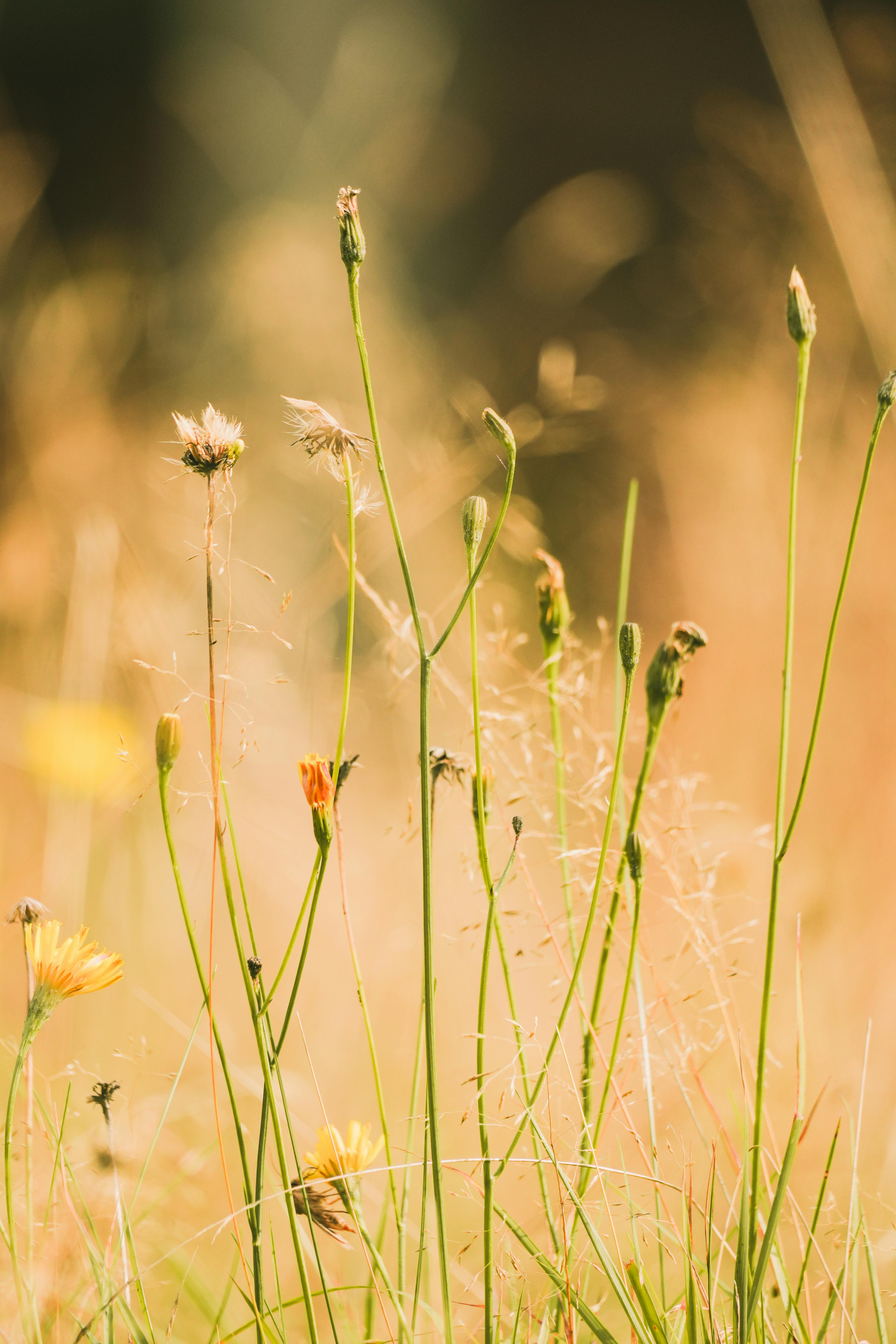 Free+Printable+Backgrounds Photos, Download The BEST Free Free ...