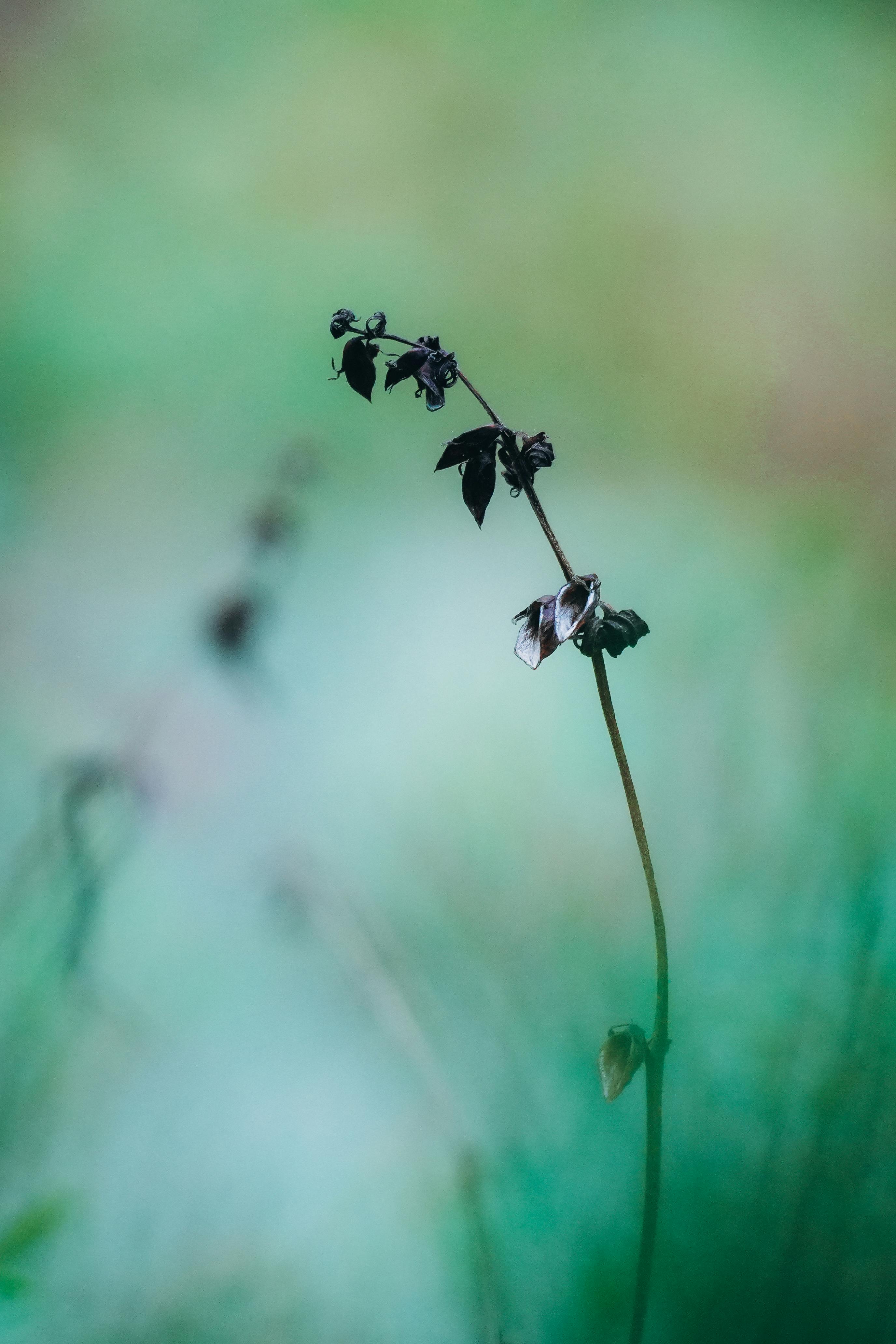 Vertical+Monitor+Wallpaper Photos, Download The BEST Free Vertical ...