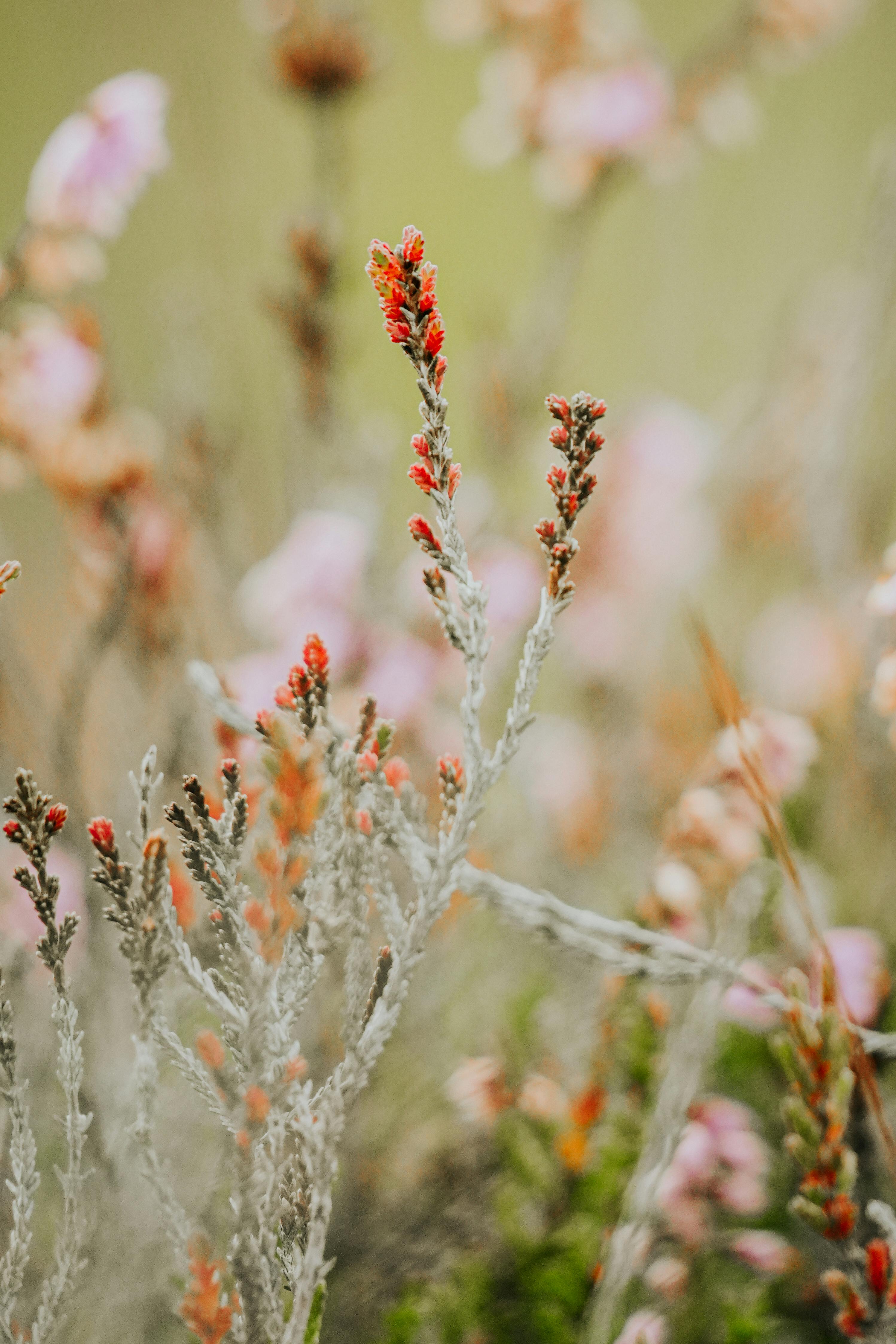 Free+Printable+Backgrounds Photos, Download The BEST Free Free ...