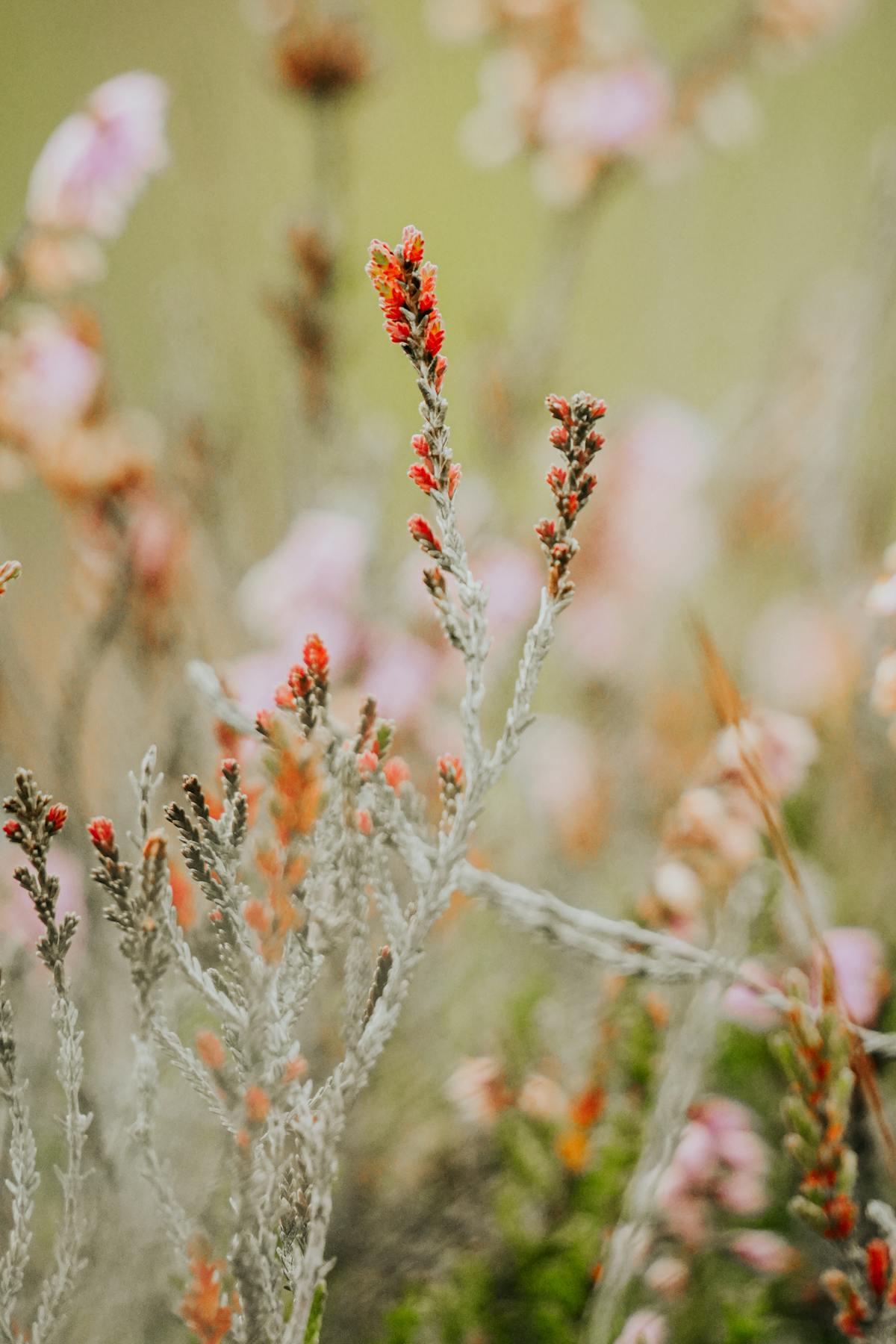 Free+Printable+Backgrounds Photos, Download The BEST Free Free ...