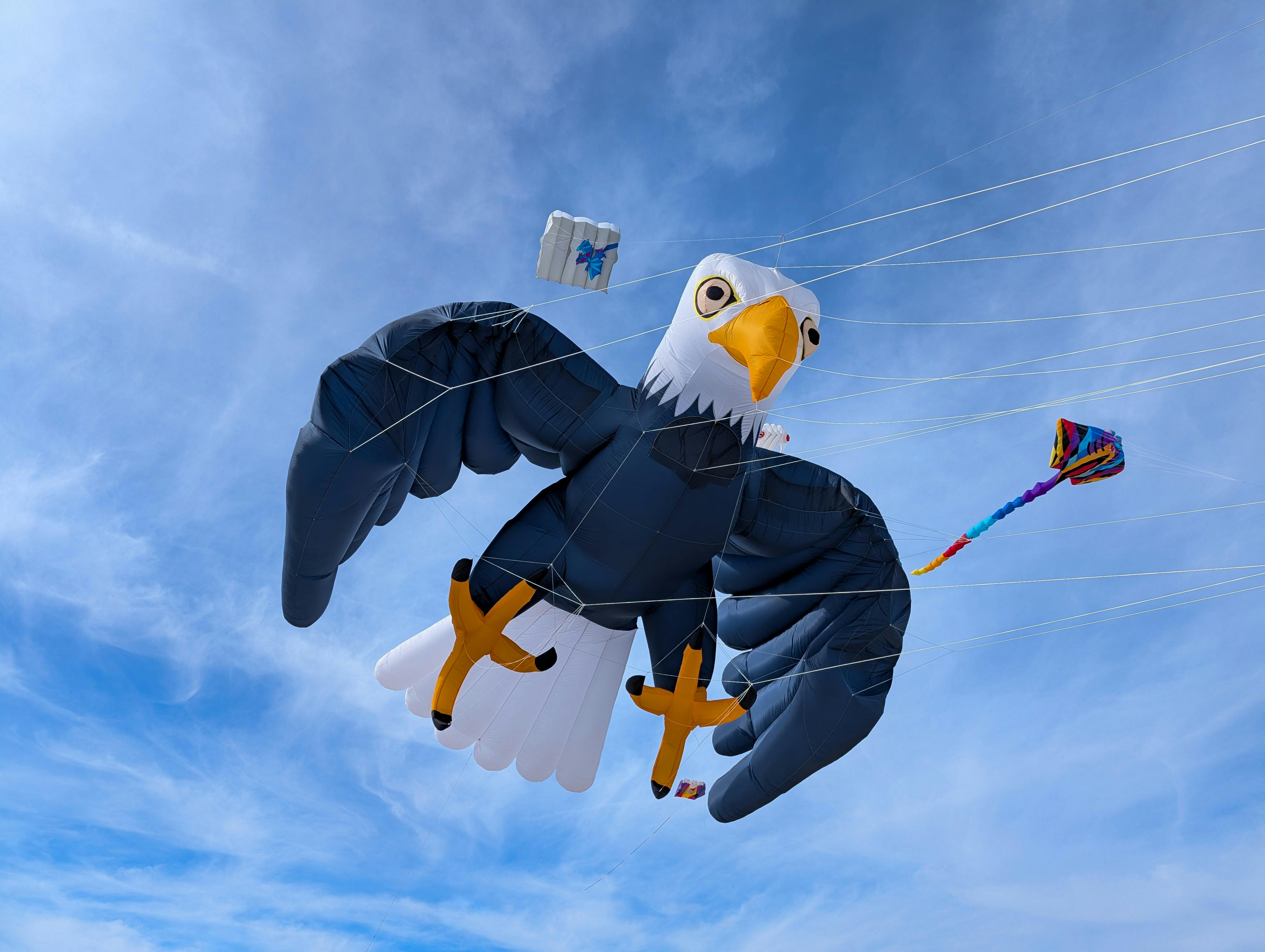 Eagle Png Photos, Download The BEST Free Eagle Png Stock Photos & HD Images