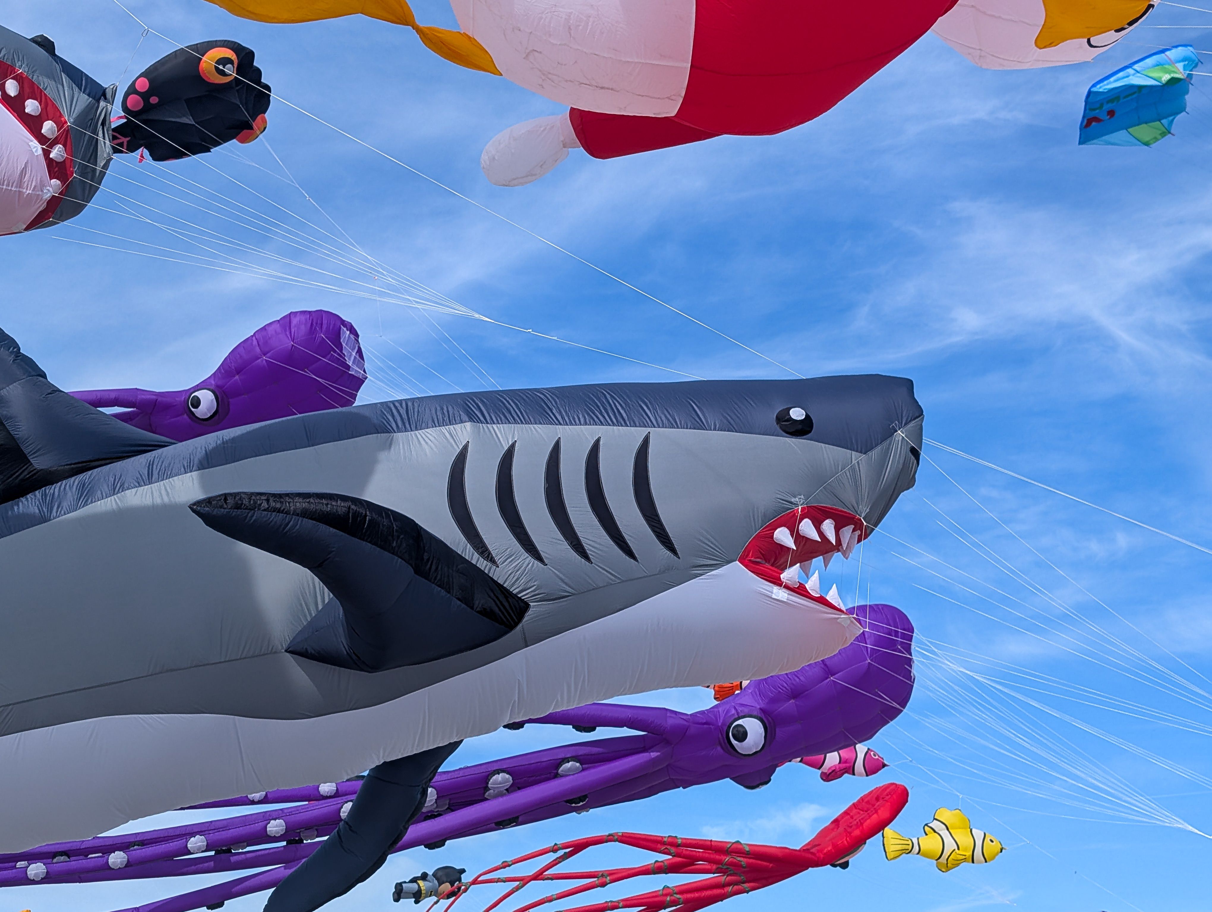 Kite Images Photos, Download The BEST Free Kite Images Stock Photos ...