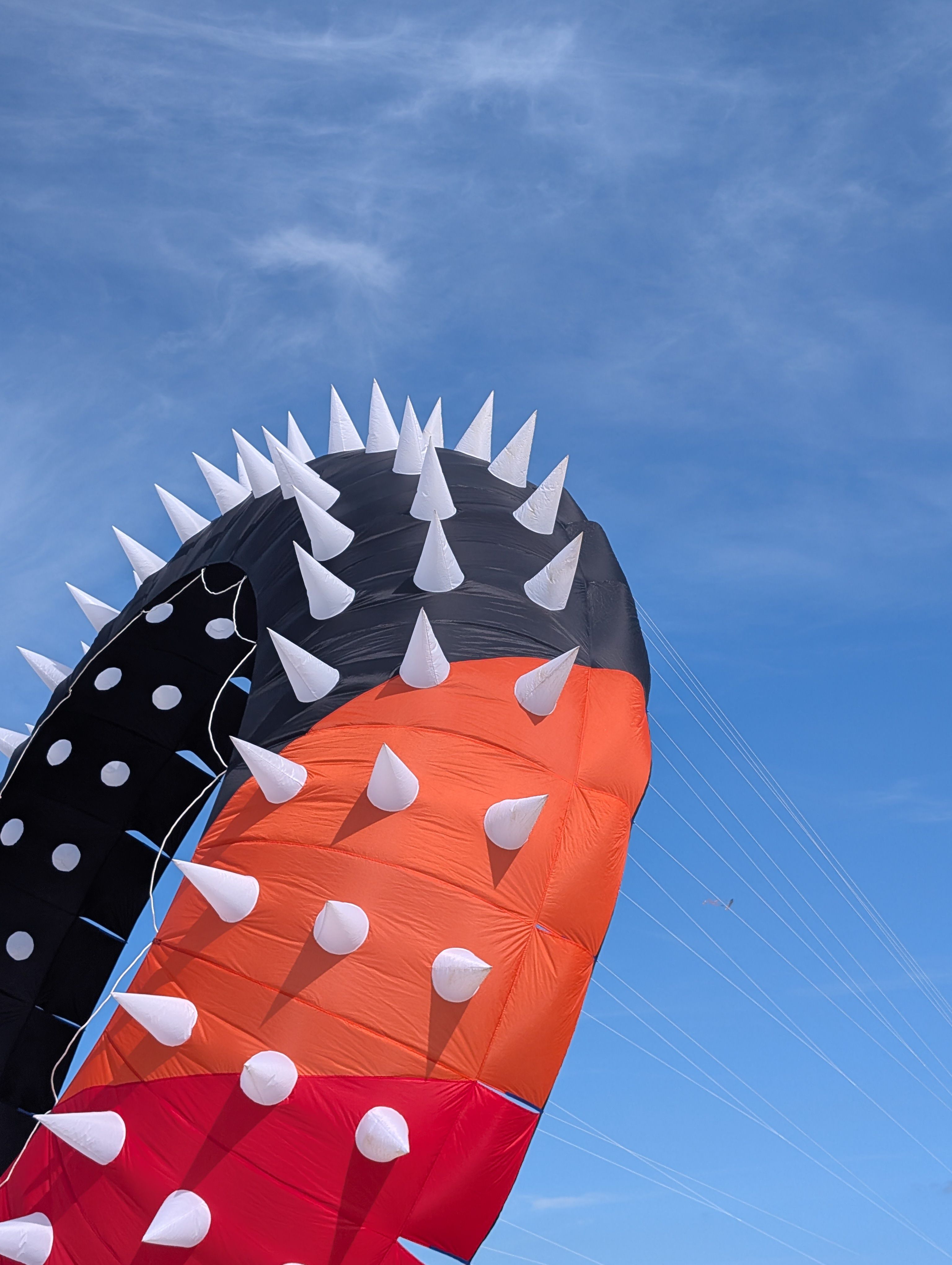 Excitement Photos, Download The BEST Free Excitement Stock Photos & HD ...