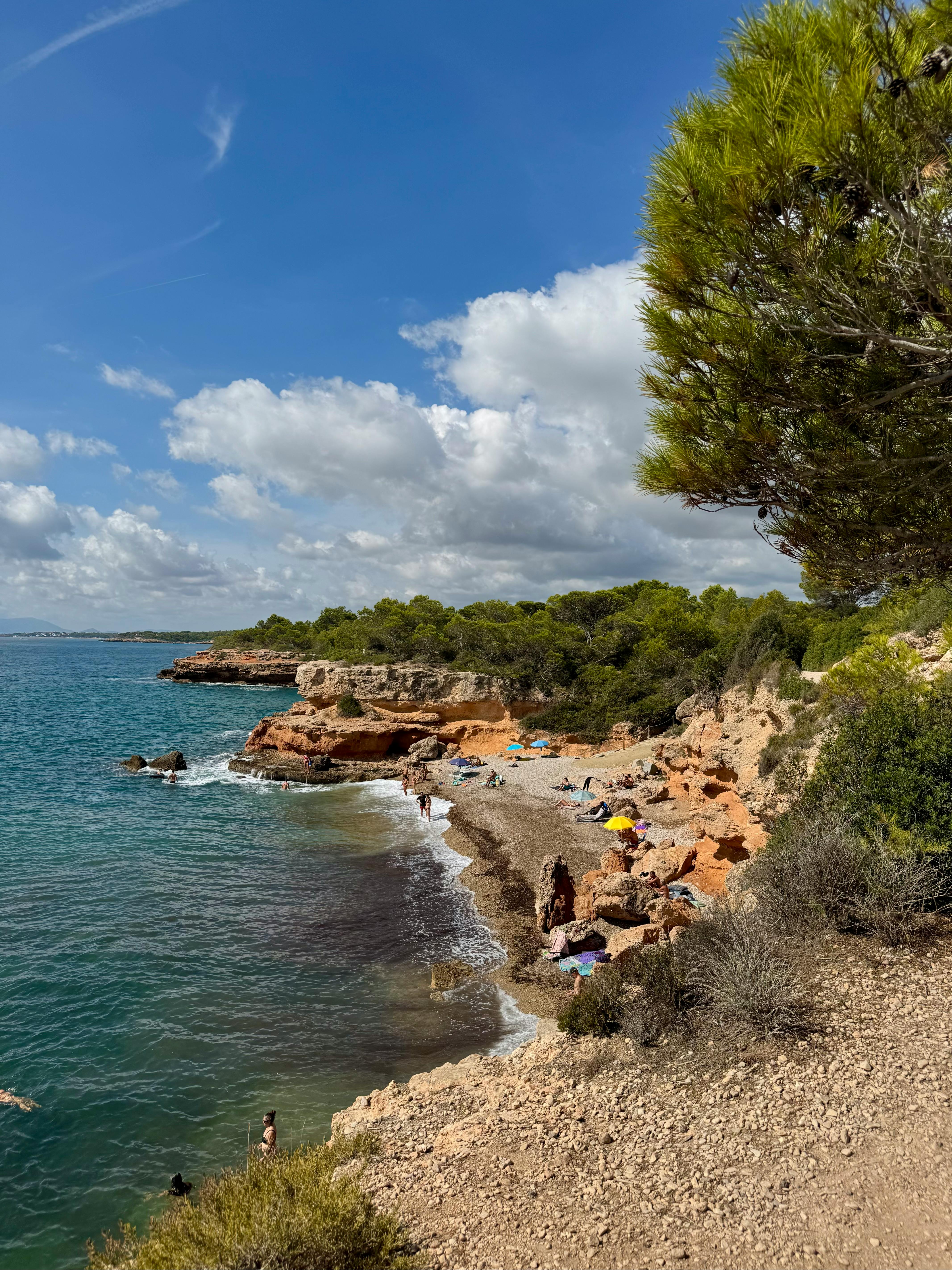 Beach+Bikini+Oops Photos, Download The BEST Free Beach+Bikini+Oops ...