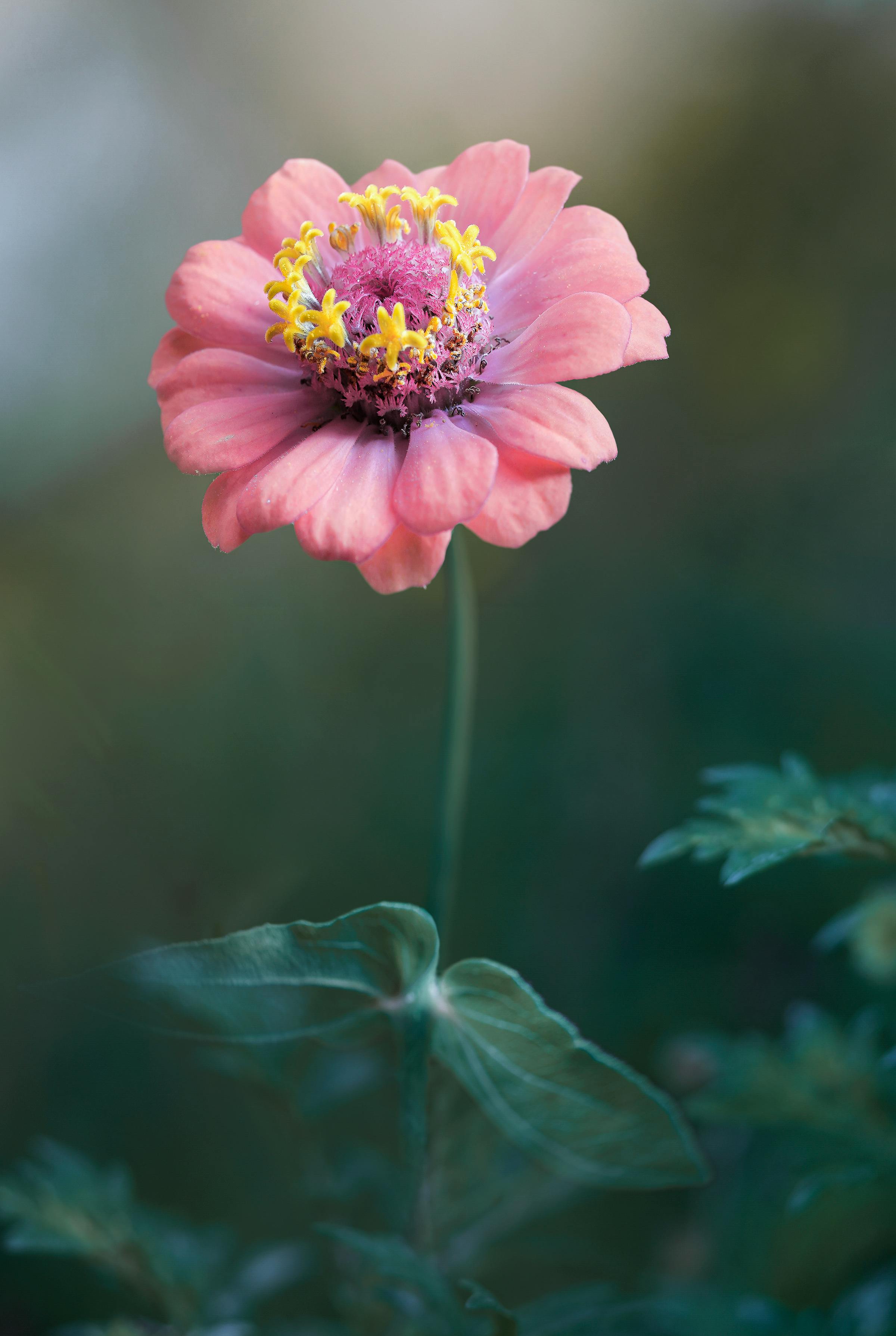 Testimony Background Photos, Download The BEST Free Testimony ...