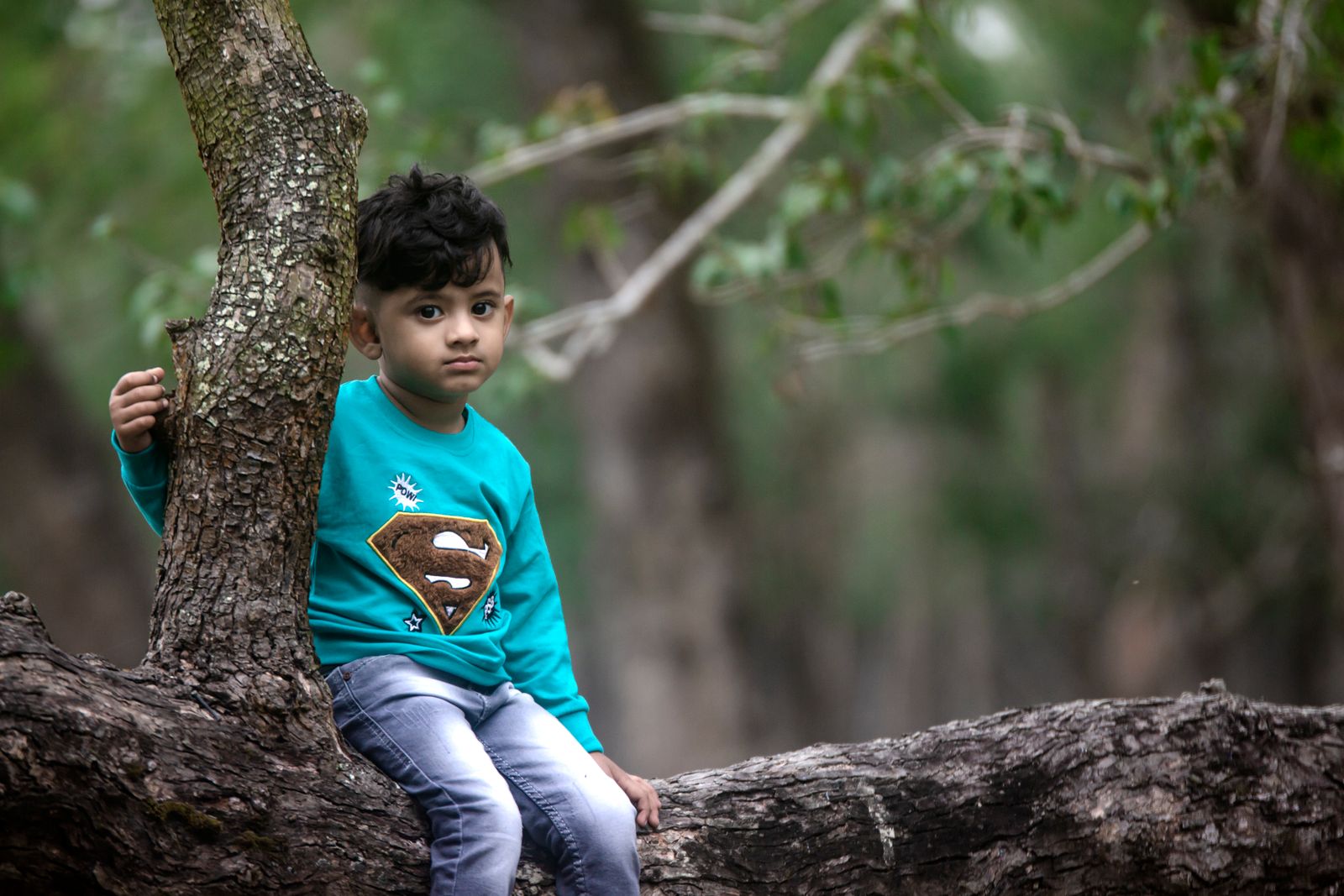 Single Boy Photos, Download The BEST Free Single Boy Stock Photos & HD ...