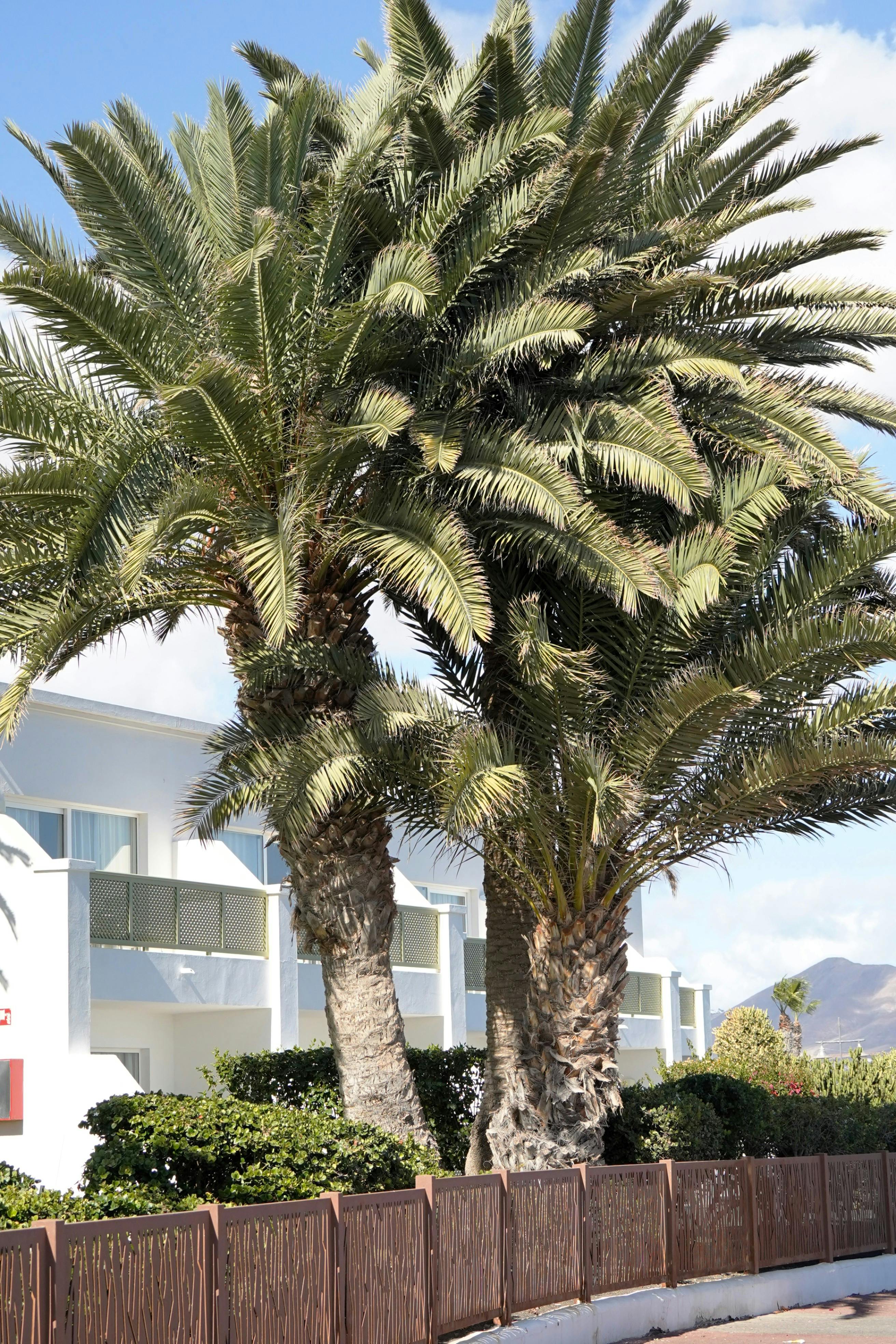 Pent House Photos, Download The BEST Free Pent House Stock Photos & HD ...