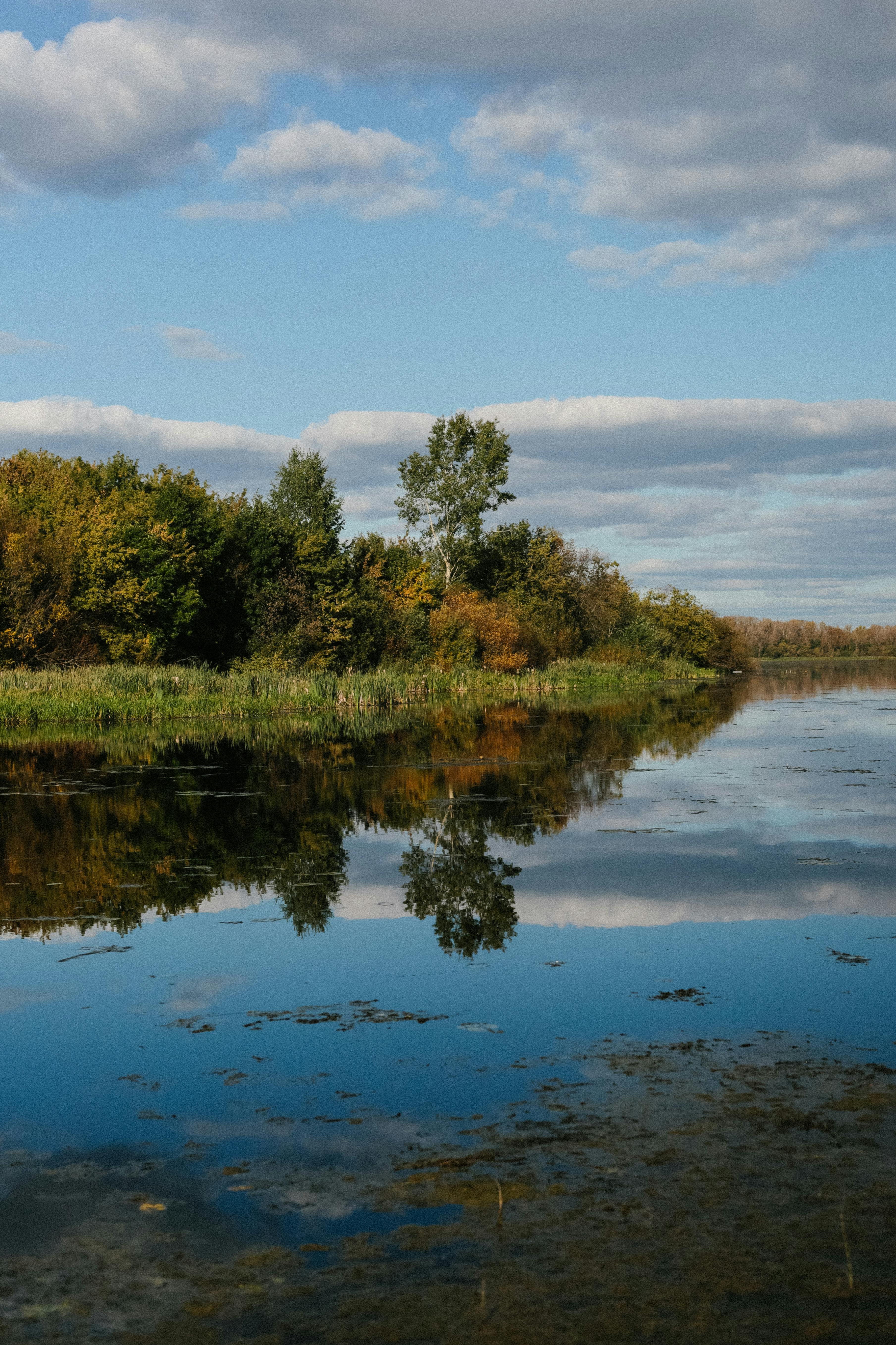 Waptrick+Image Photos, Download The BEST Free Waptrick+Image Stock ...