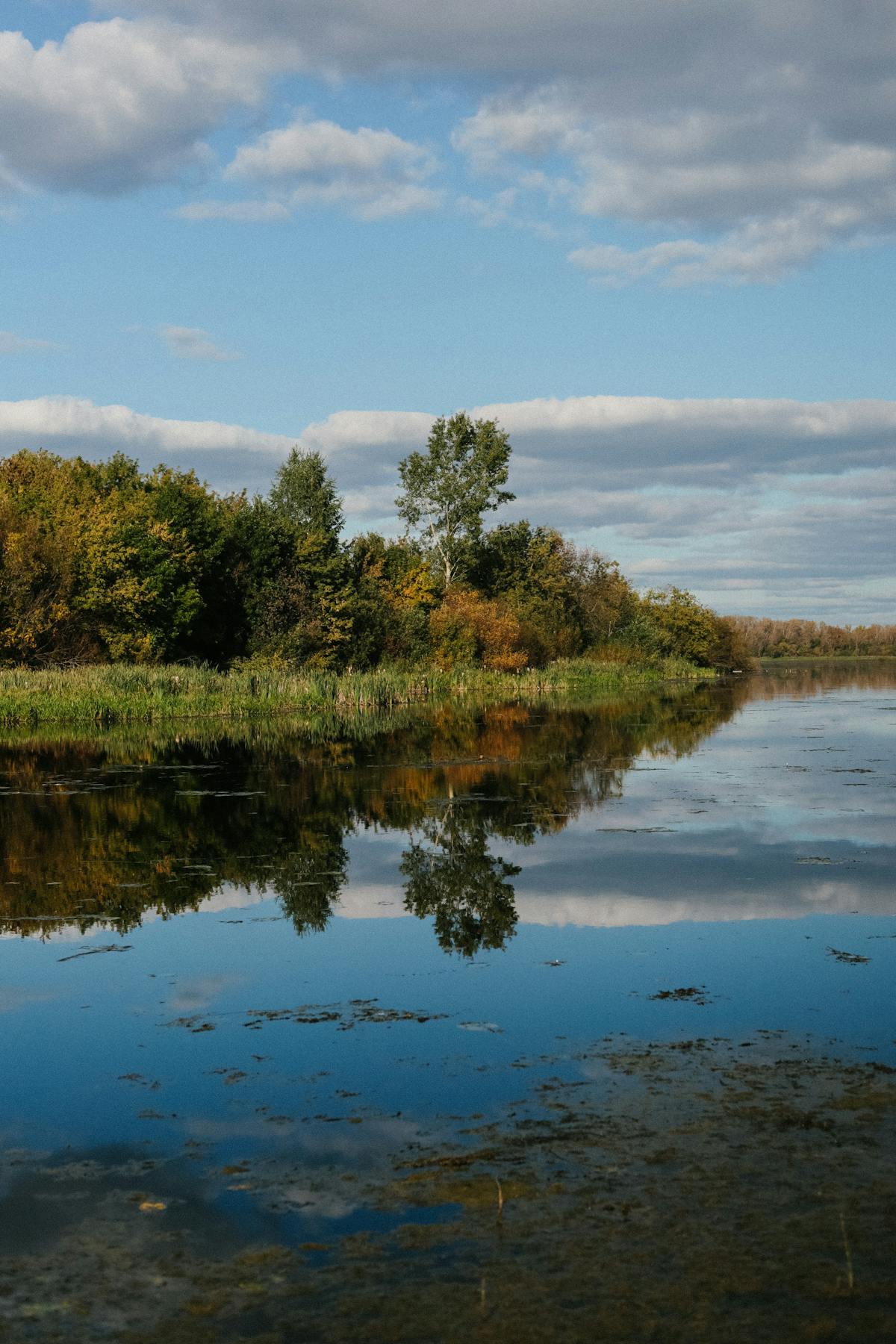 Welcome+To+Ptm+Image Photos, Download The BEST Free Welcome+To+Ptm ...