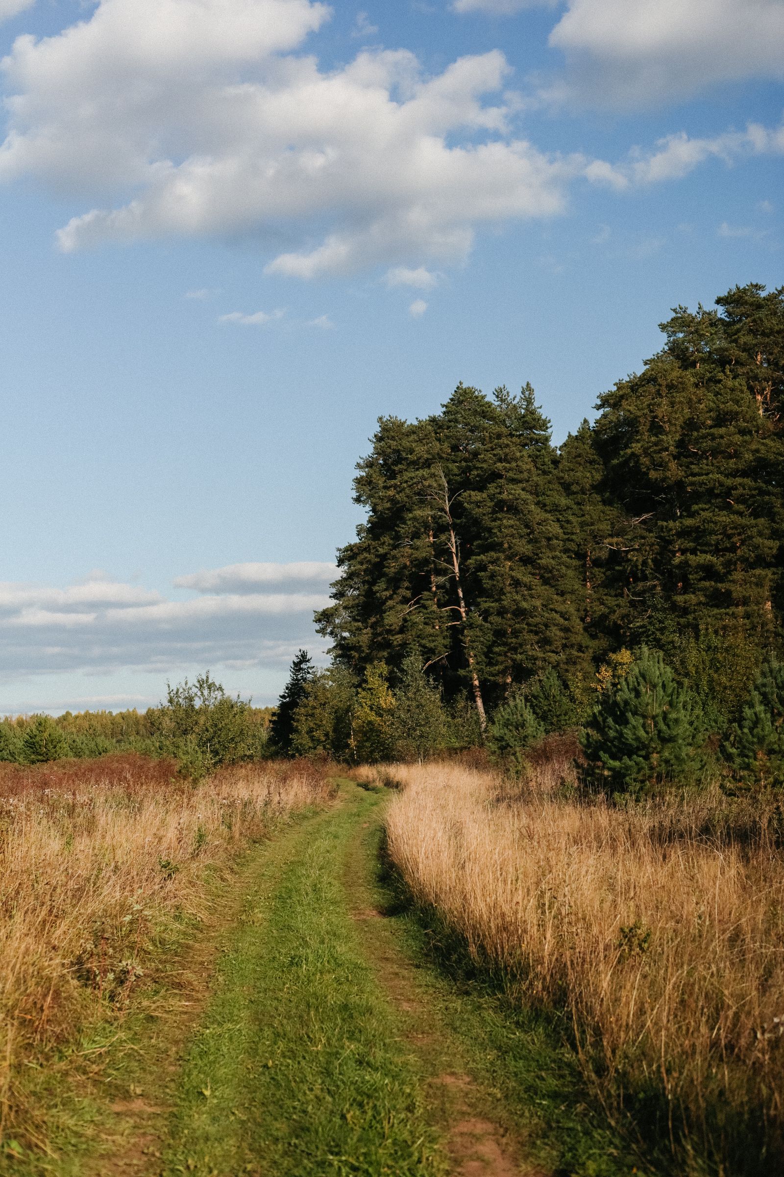 Nature Walk Photos, Download The BEST Free Nature Walk Stock Photos ...