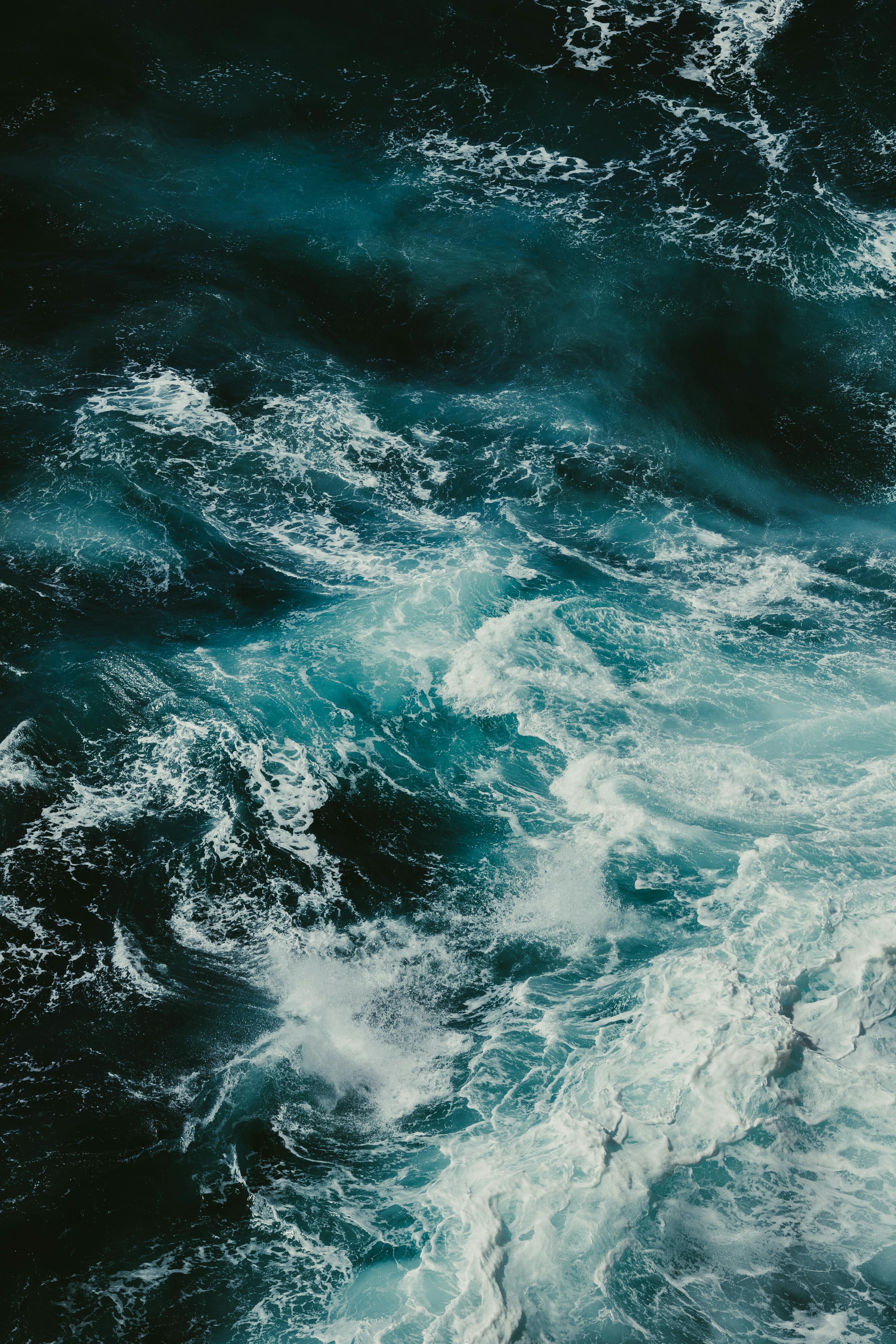 700 000+ Anus+photo banque d’images et photos libres de droit · Téléchargement gratuit · Photos ...