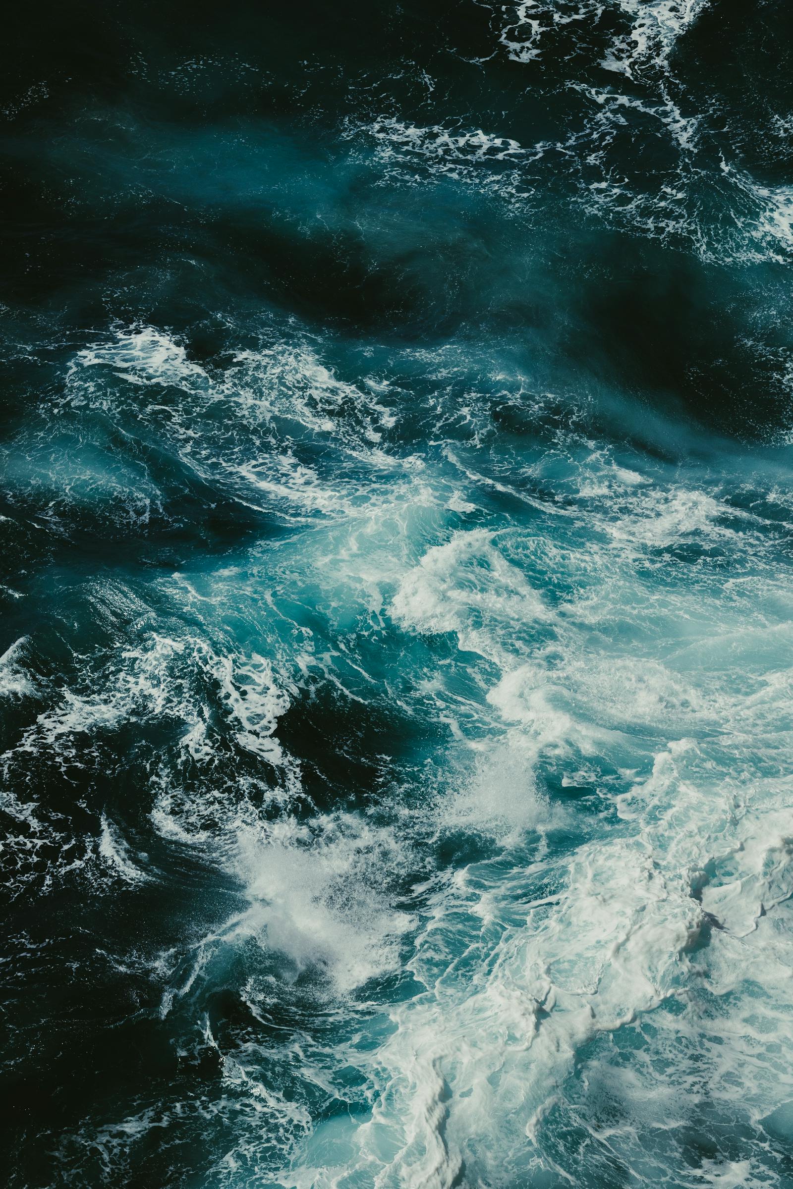 Nature Pfp Photos, Download The BEST Free Nature Pfp Stock Photos & HD ...