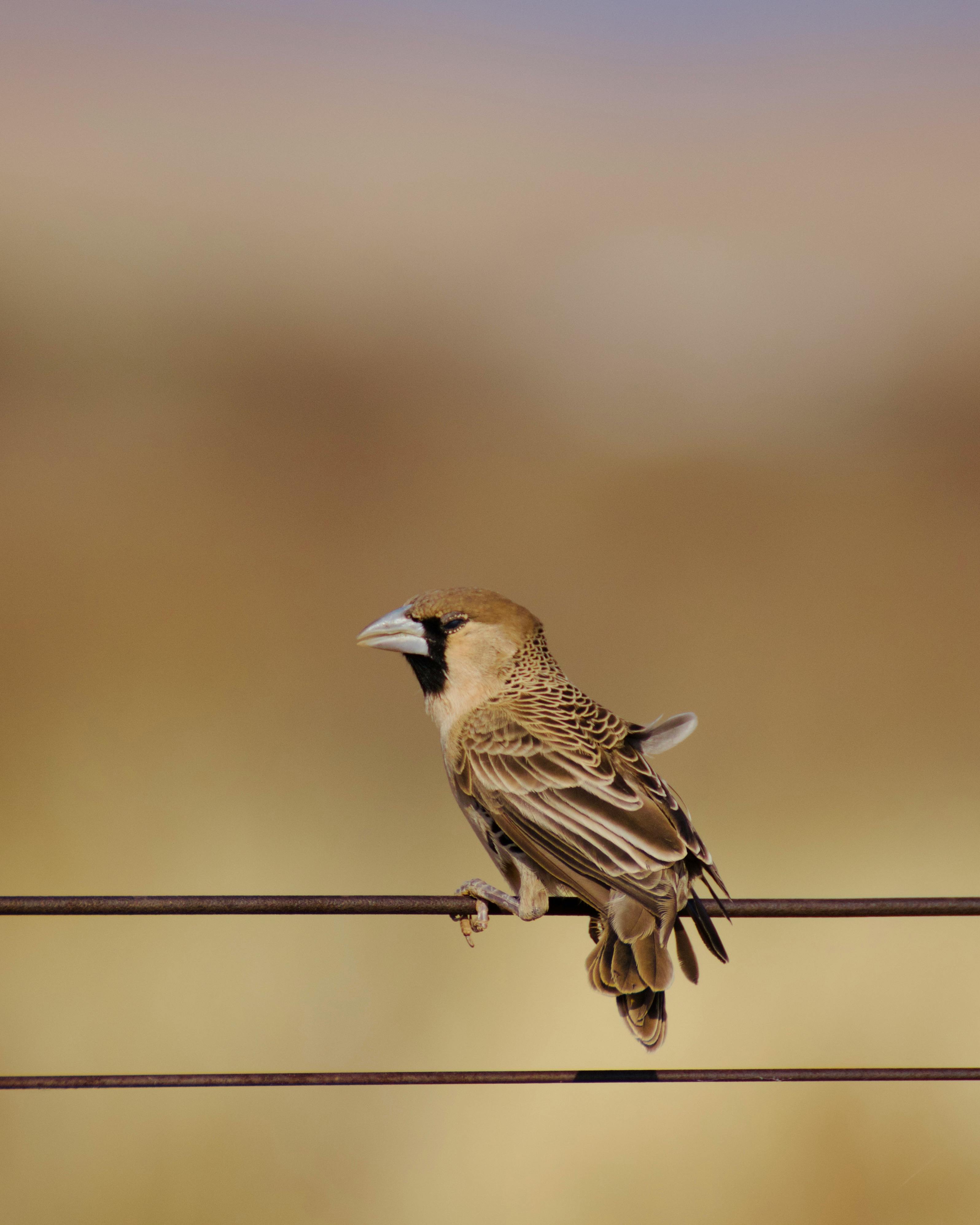 Singled Out Photos, Download The BEST Free Singled Out Stock Photos ...