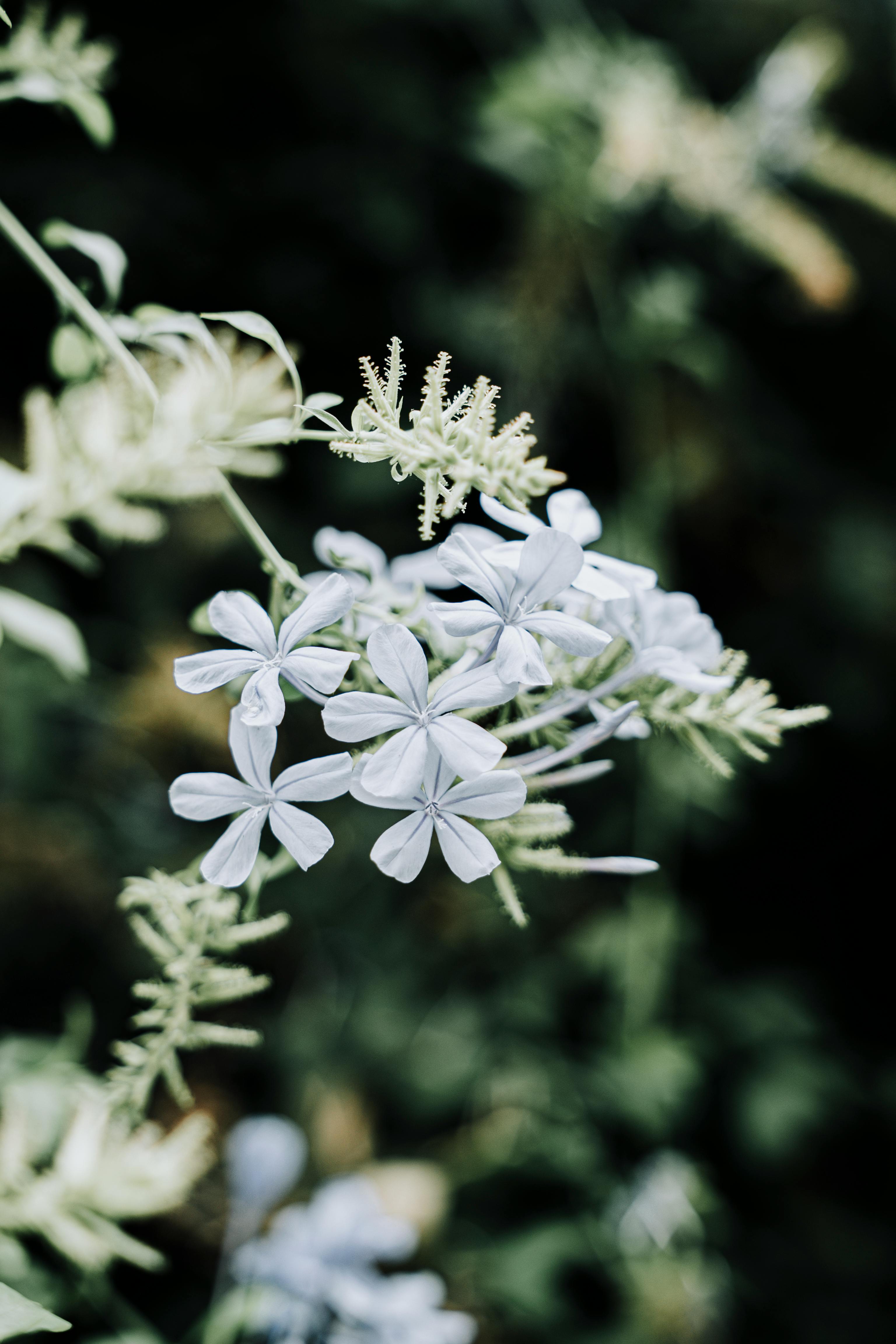 Badhiya+Badhiya+Blue+Bf+Nai+Nai+Ladki Photos, Download The BEST Free ...